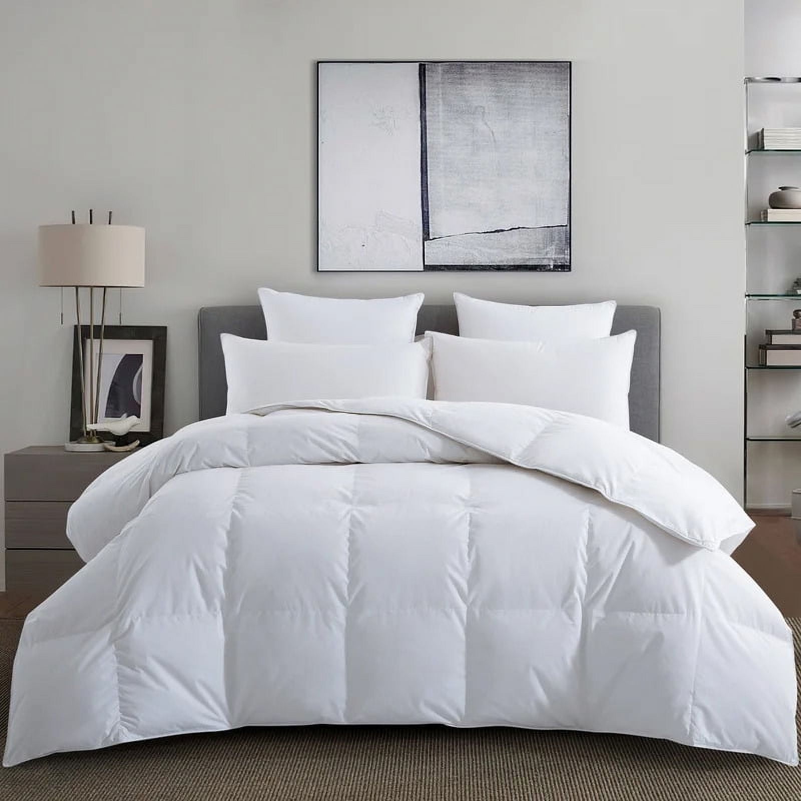 Lussona Lightweight Queen Size Bedding - Warm Fluffy Ultra-Soft 1000TC ...
