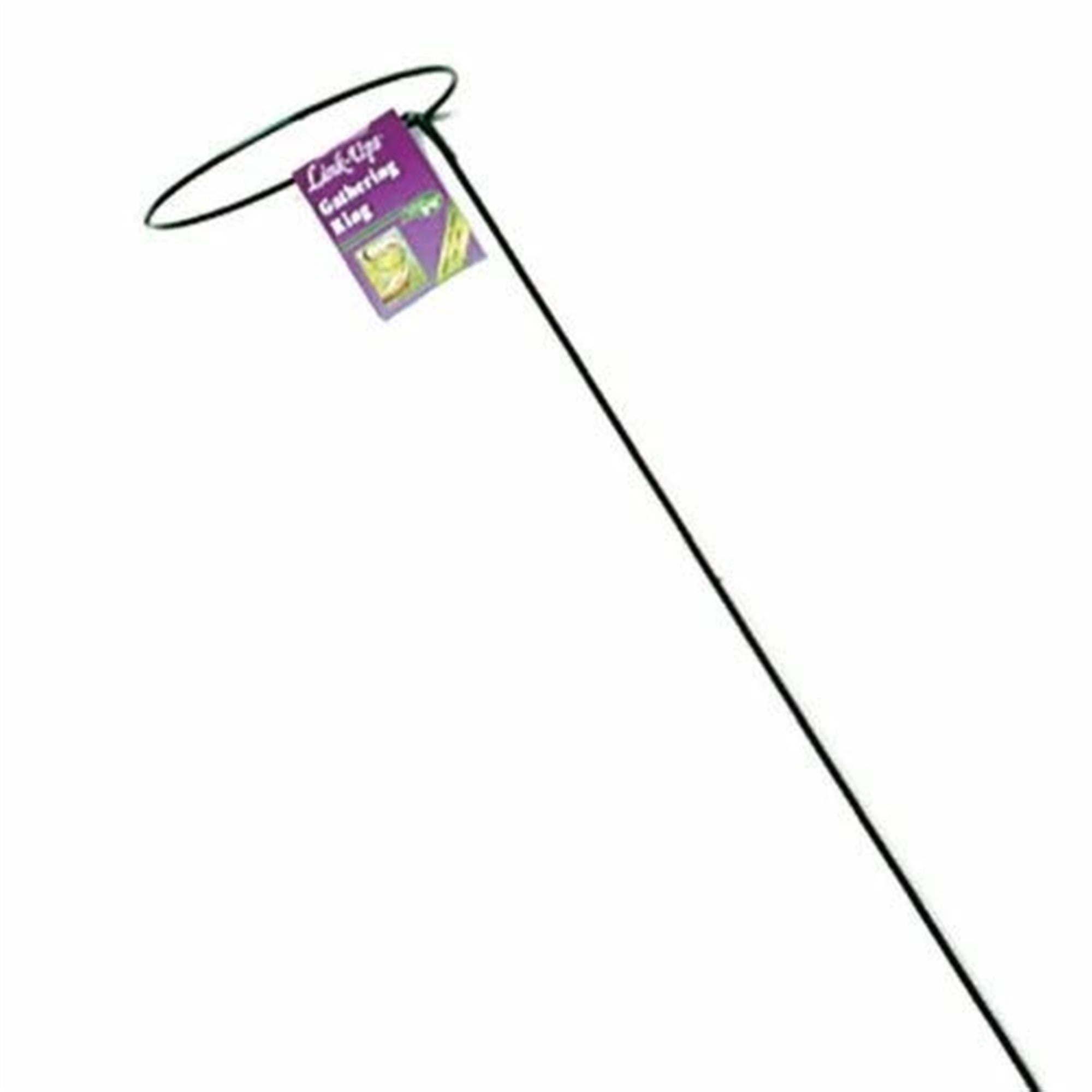 Luster Leaf Link-Ups Gathering Ring Plant Support, 6" Ring x 36" Leg ...