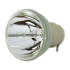 Viewsonic RLC-111 Projector Lamp - Walmart.com