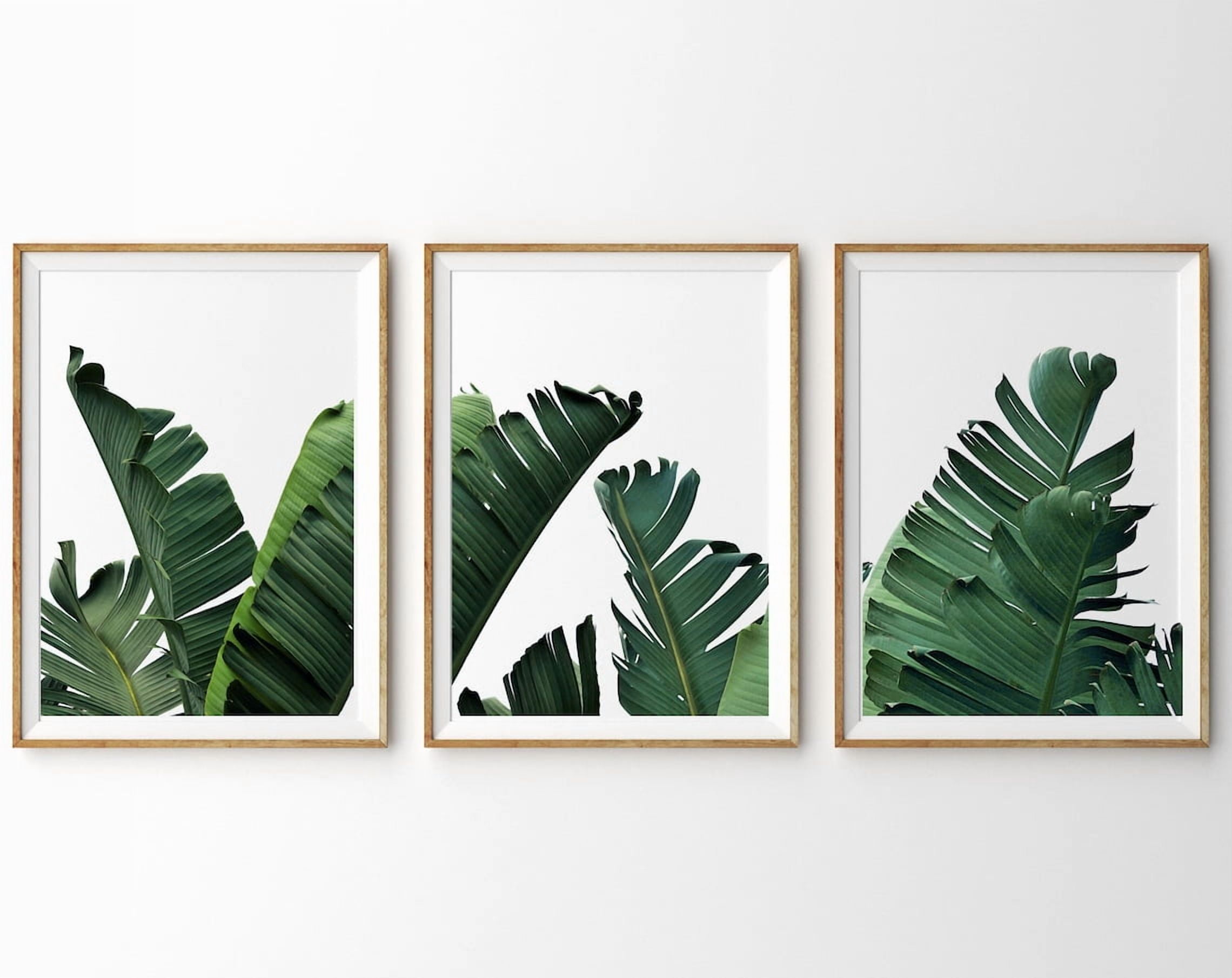 Luvia Banana Leaf 3 Piece Set Of 3 Prints Palm Leaf Botanical Palm Tree ...