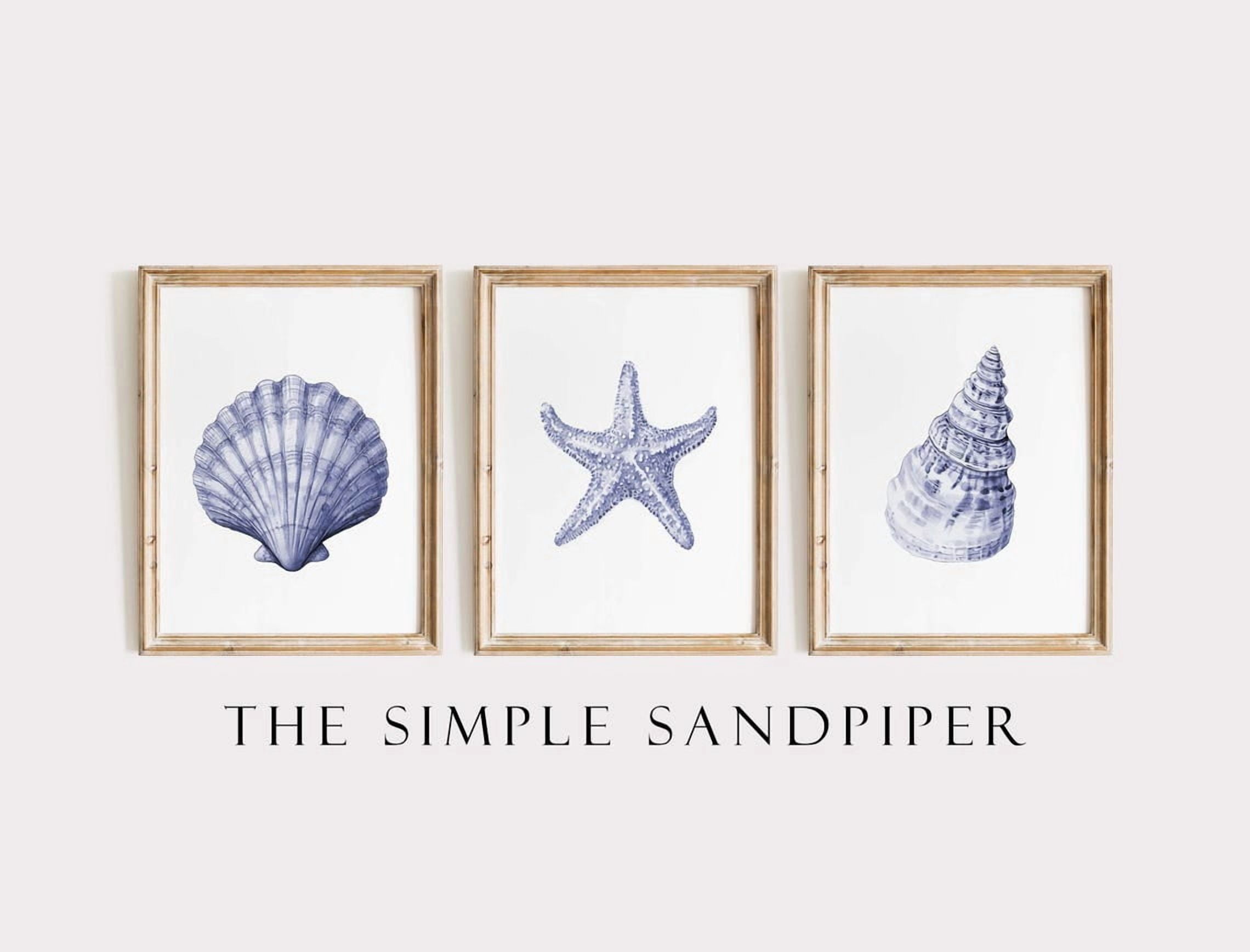 Luvia Blue Beach Decor Prints, Seashell And Starfish Set Of 3, Coastal ...