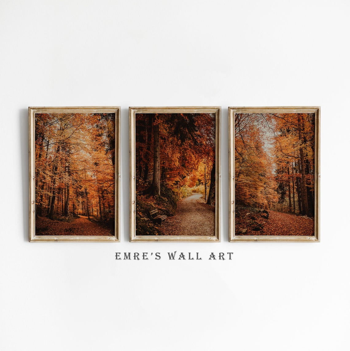 Luvia Fall Photo Set of 3, Fall Landscape Prints, Autumn Forest Poster ...