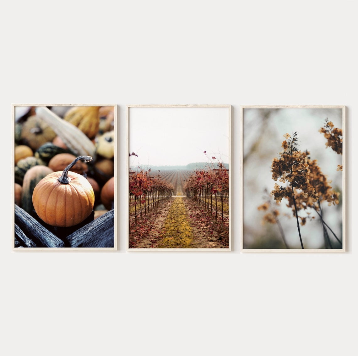 Luvia Fall Prints Set Of 3, Autumn Landscape Photography, Modern Wall ...