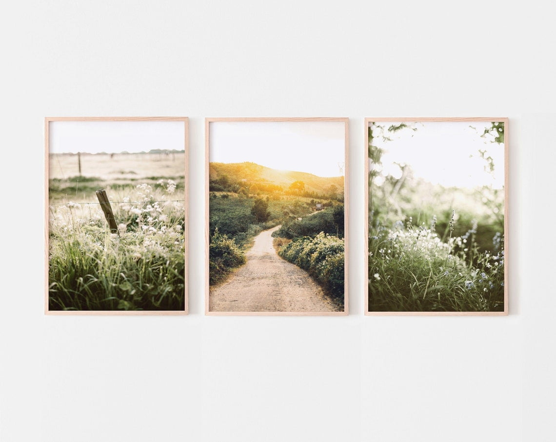 Luvia Green Nature Forest Path Prints Set Of 3, Dark Green, Forest ...