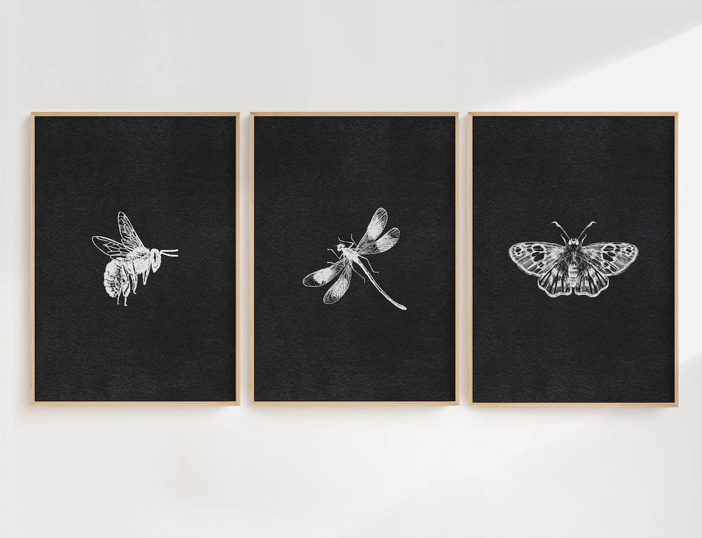 Luvia Monochrome Insect Set Of 3, Bee, Dragonfly, Butterfly Prints ...