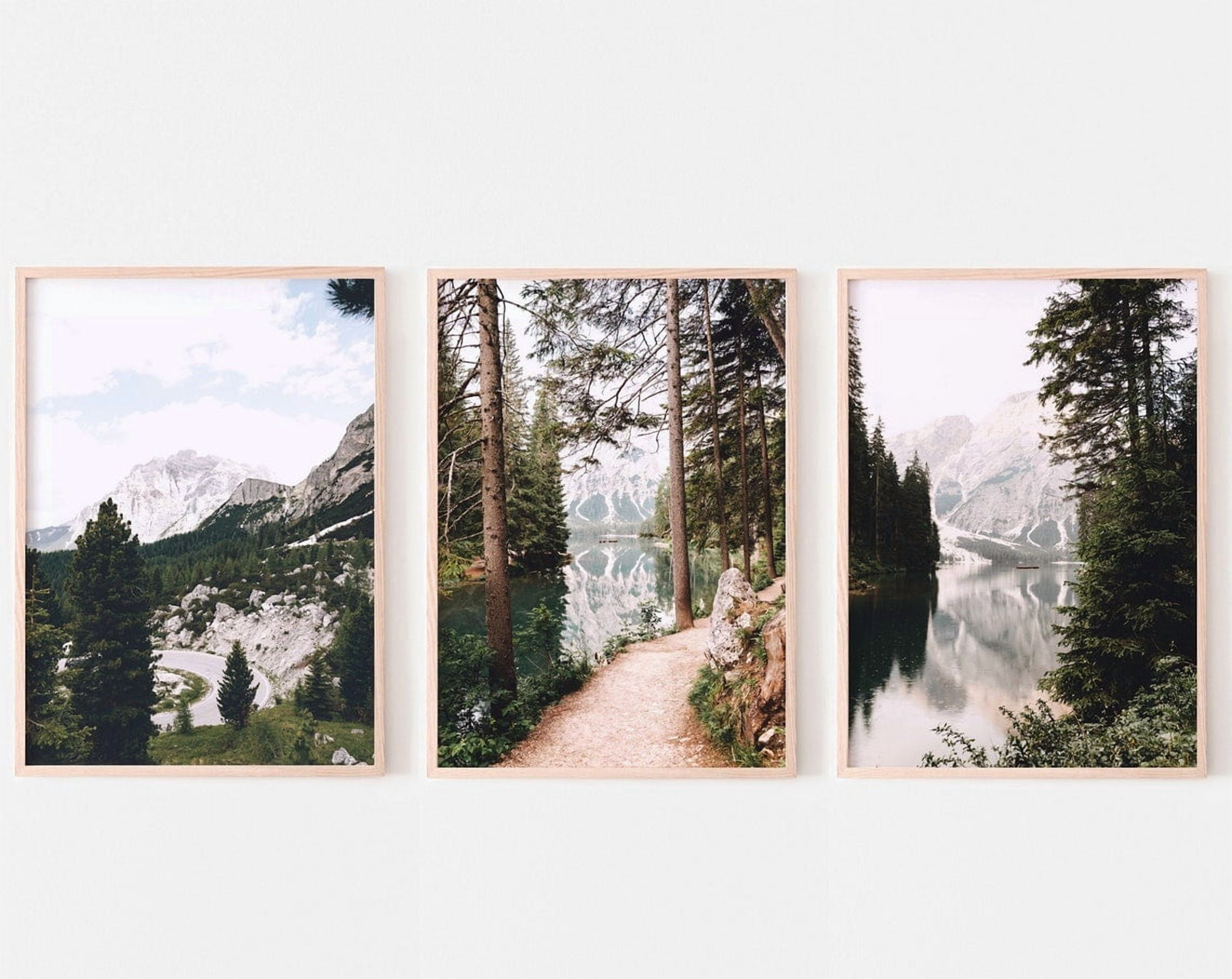 Luvia Nature Gallery Set Of 3, Nature Forest Photography Set, Dark ...