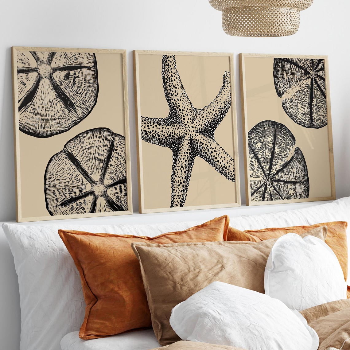 Luvia Sand Dollars And Star Fish Vintage, Set Of 3 Poster, Neutral ...