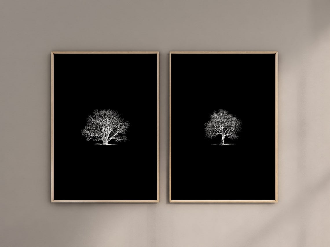 Luvia Set Of 2 Miniature Tree Posters, Modern Black White Line Art ...