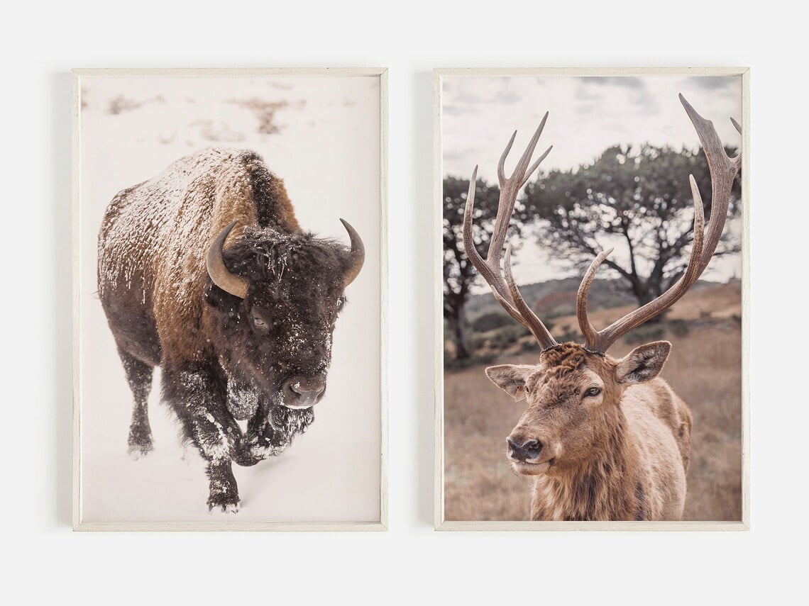 Luvia Set Of 2 Prints, Western Bison Poster Set, Boho Gallery Set, 2 ...