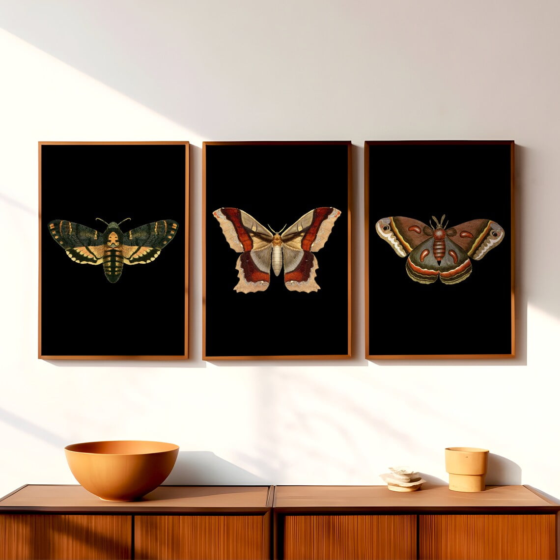 Luvia Set Of 3 Vintage Moth Posters, Dark Insect Art, Entomology ...