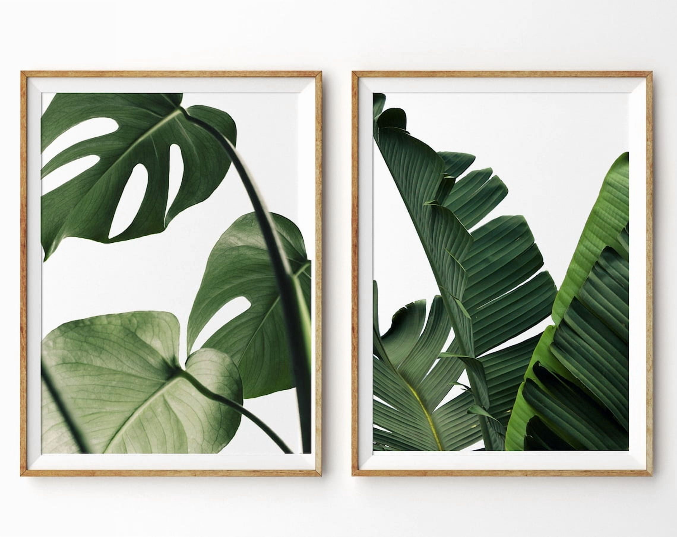 Luvia Tropical Leaf Set Of 2 Prints Monstera Leaf Banana Leaf Tropical ...