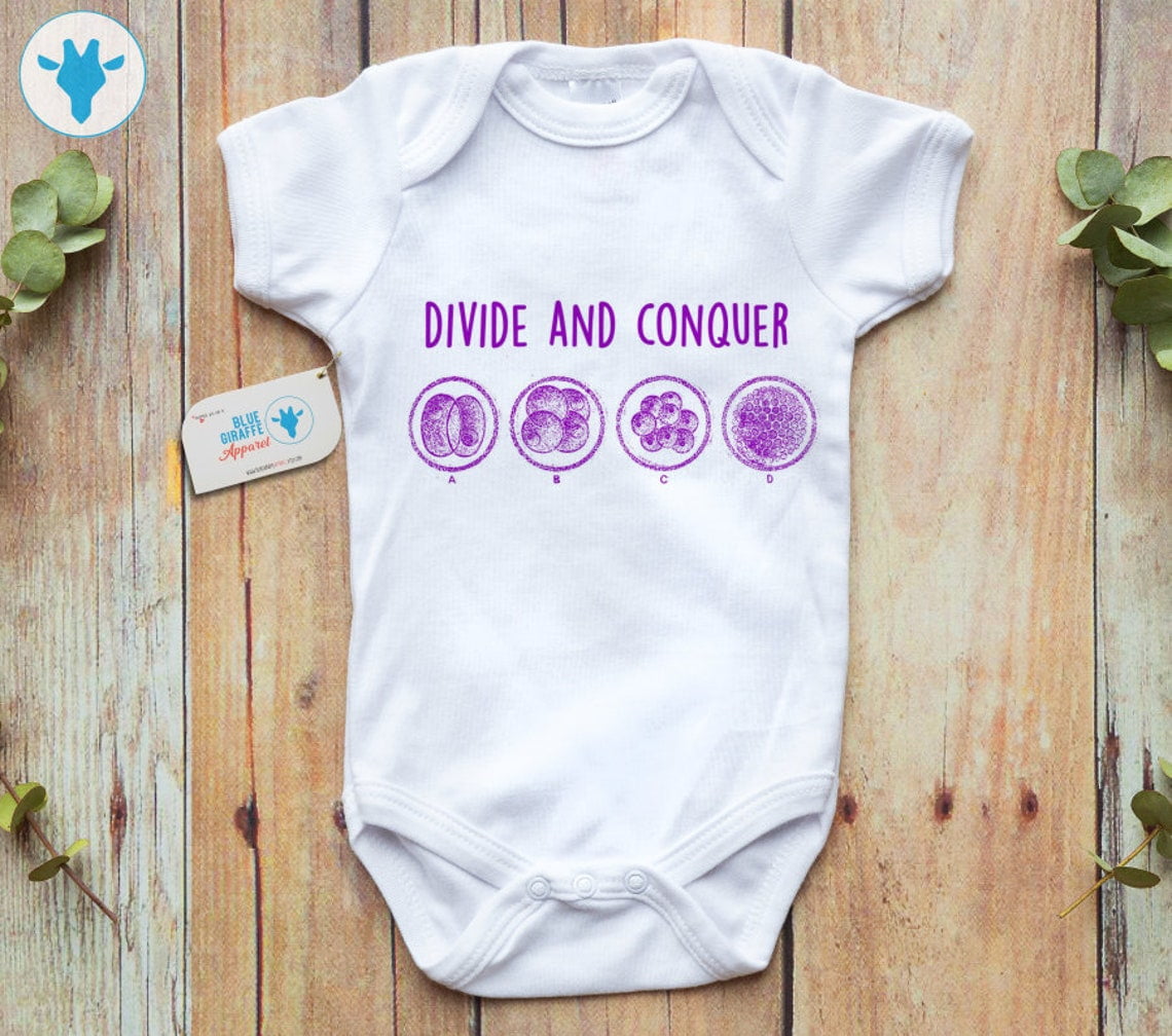 Luvly Divide And Conquer Diagram Bodysuit, Science Themed, Funny ...