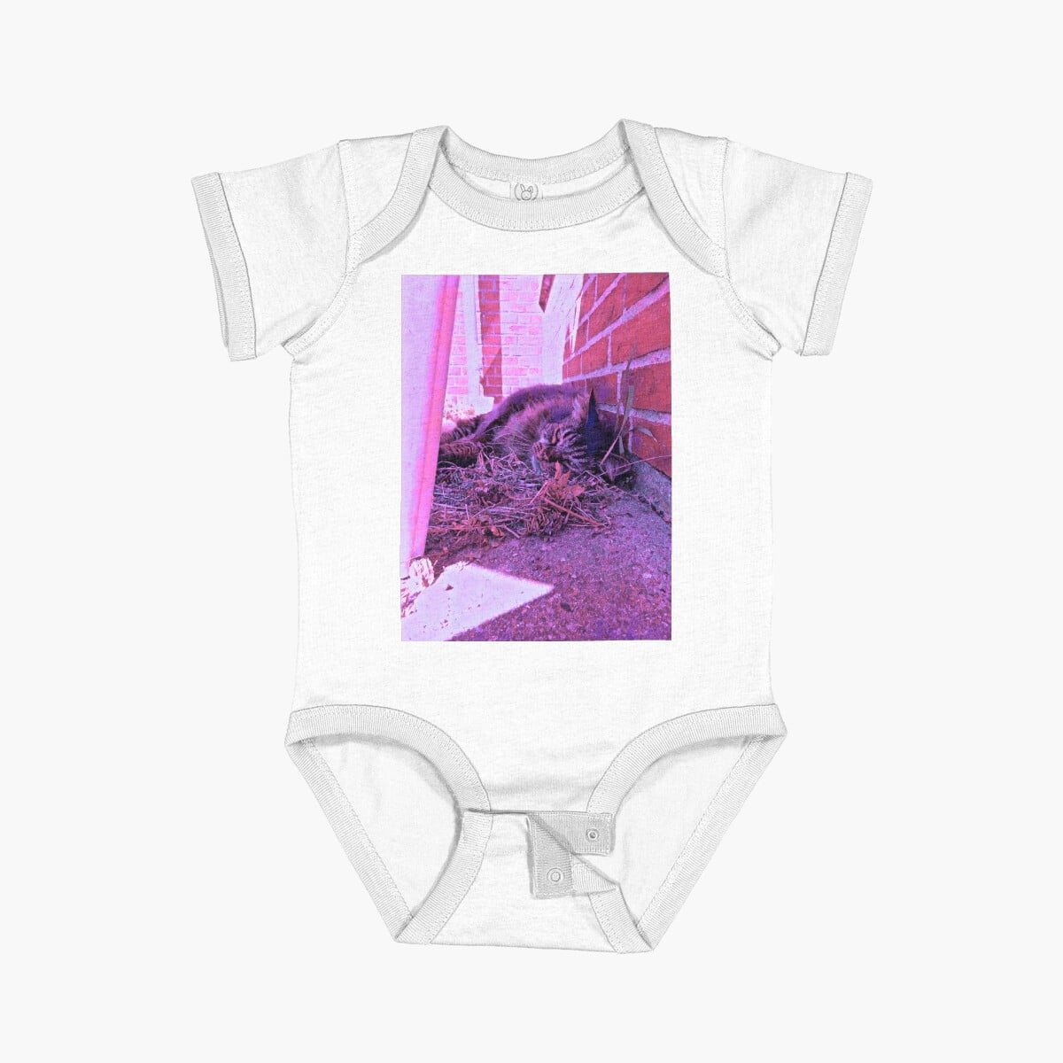 Luvly Maine Coone Cat In Pink Leaves Short Sleeve Baby One-Piece, New ...