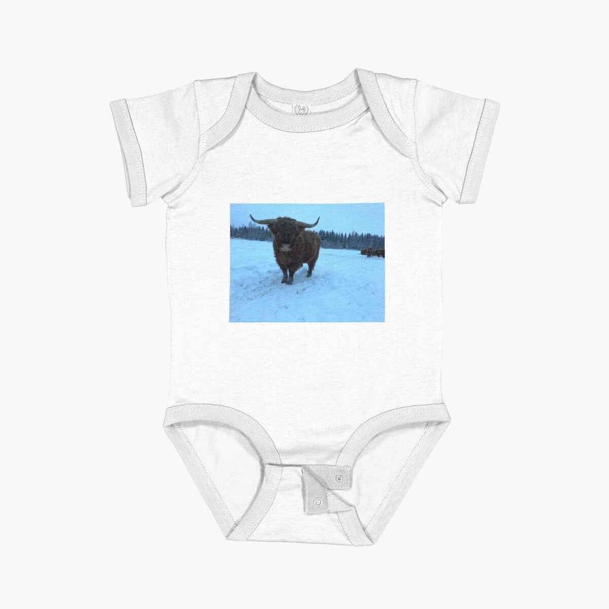 Luvly Scottish Highland Cattle Bull 1033 Short Sleeve Baby One-Piece ...