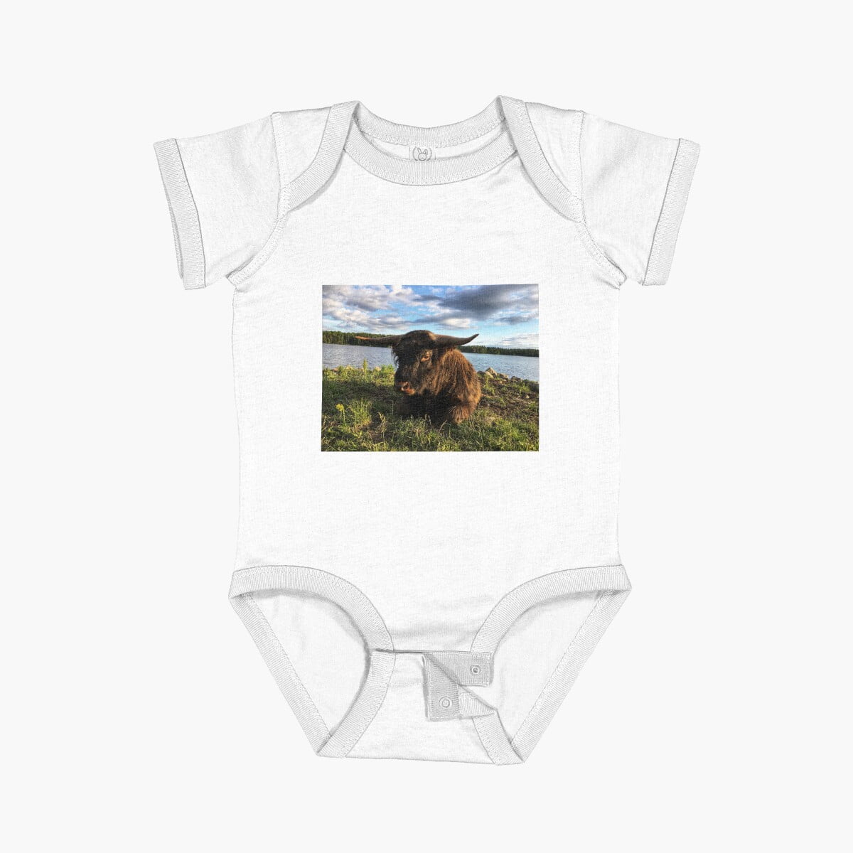 Luvly Scottish Highland Cattle Bull 1791 Short Sleeve Baby One-Piece ...