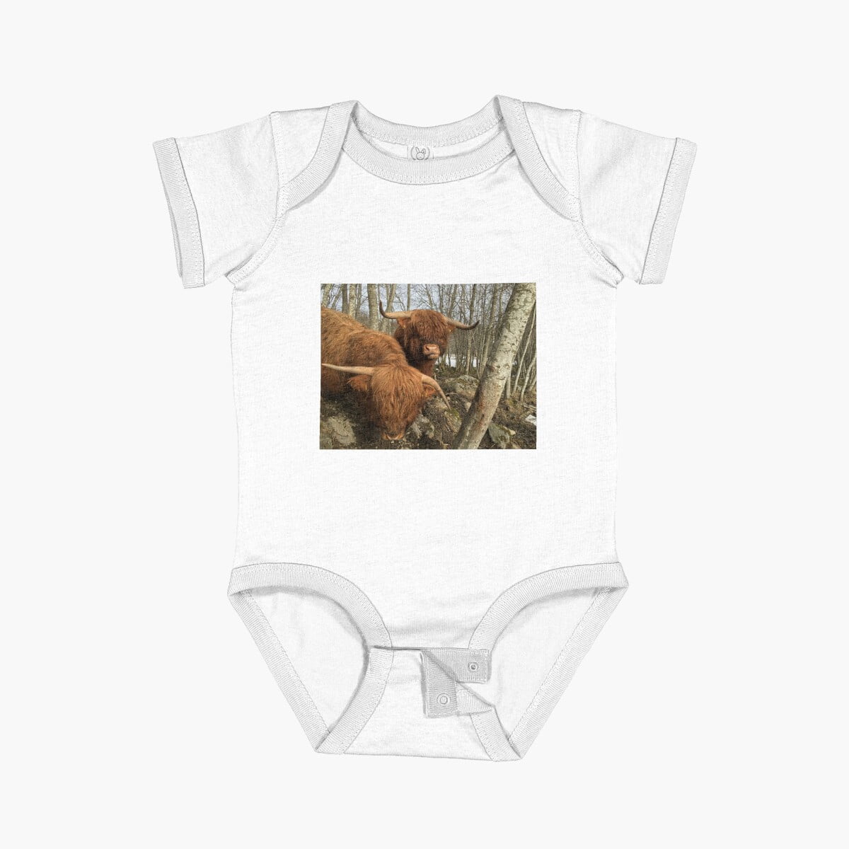 Luvly Scottish Highland Cattle Bulls 1093 Short Sleeve Baby One-Piece ...