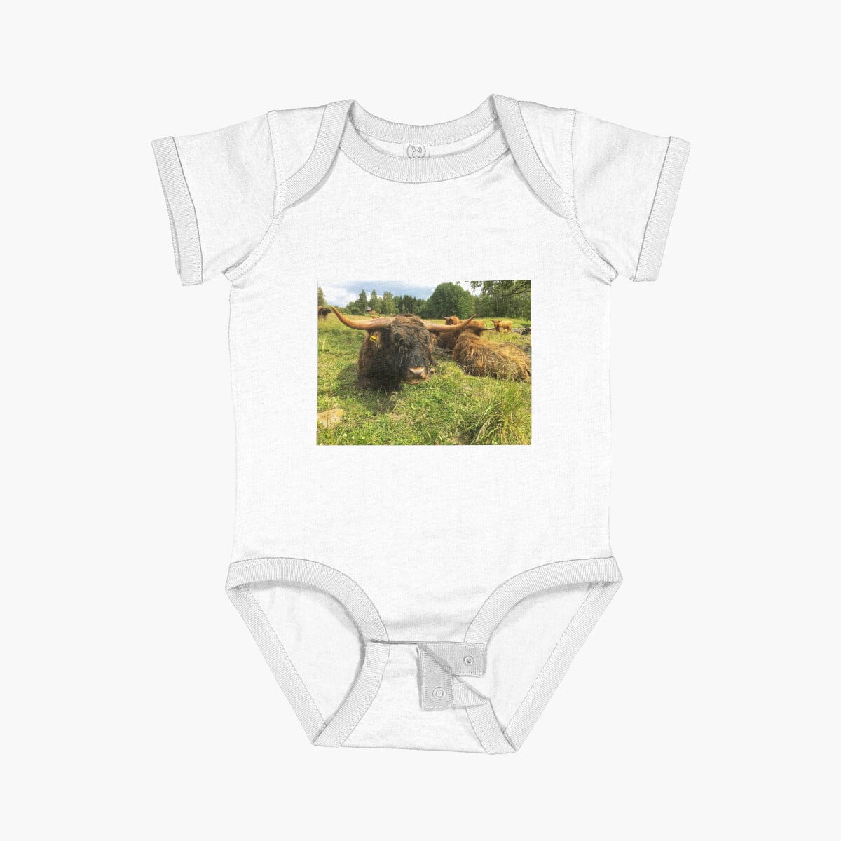 Luvly Scottish Highland Cattle Bulls 2034 Short Sleeve Baby One-Piece ...