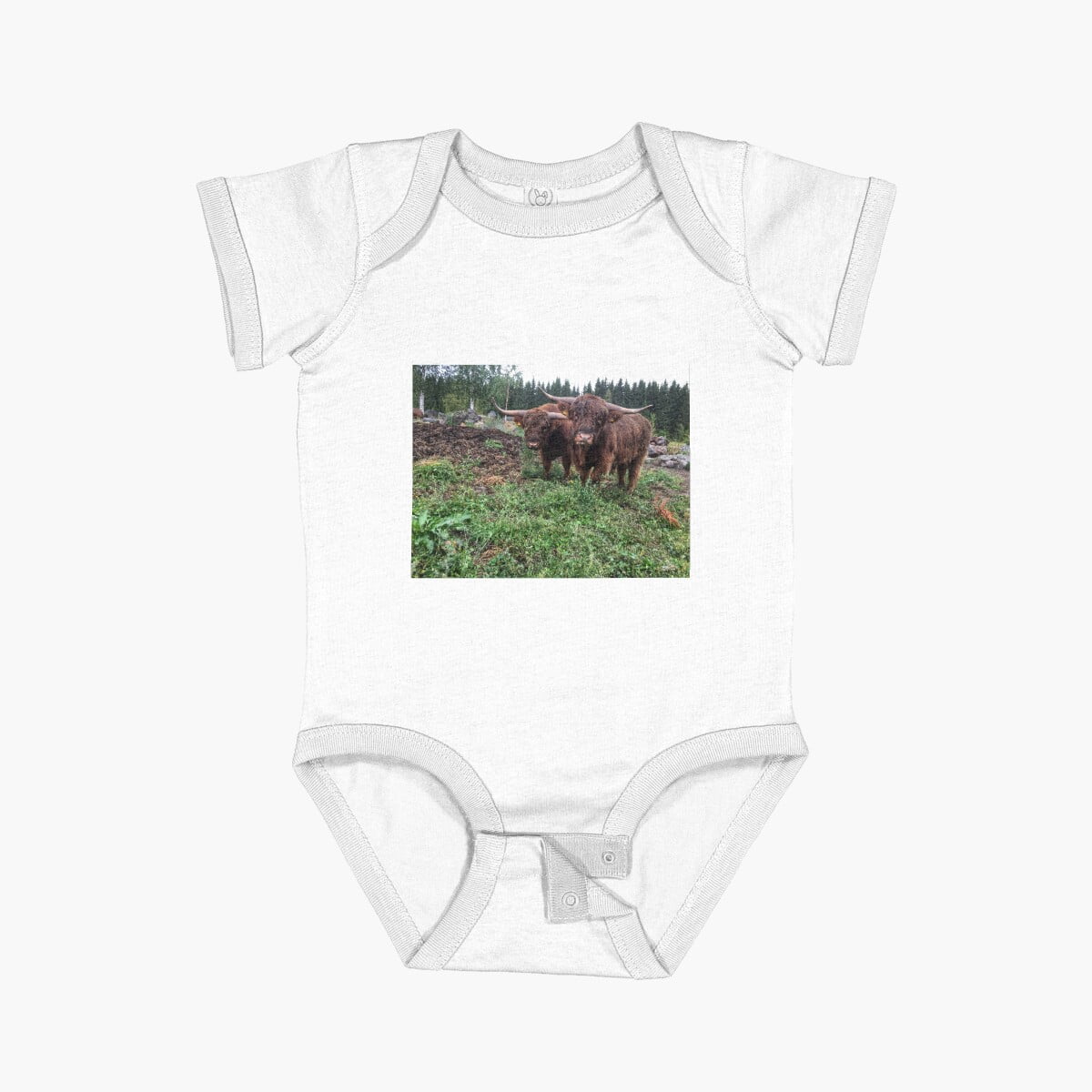 Luvly Scottish Highland Cattle Bulls 2082 Short Sleeve Baby One-Piece ...