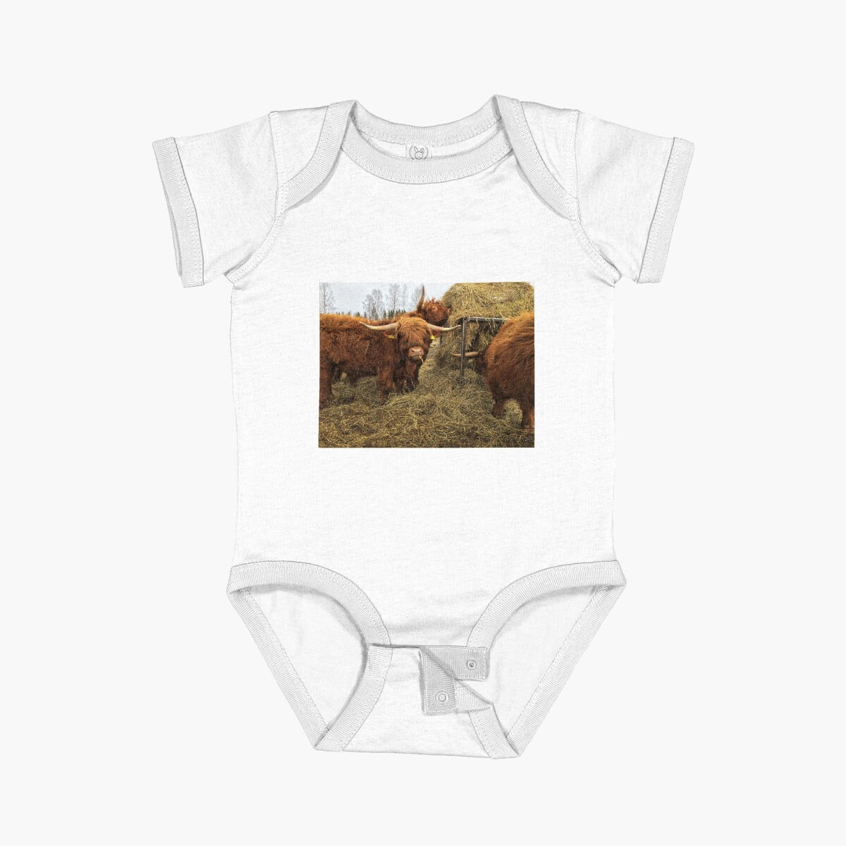 Luvly Scottish Highland Cattle Bulls 2342 Short Sleeve Baby One-Piece ...