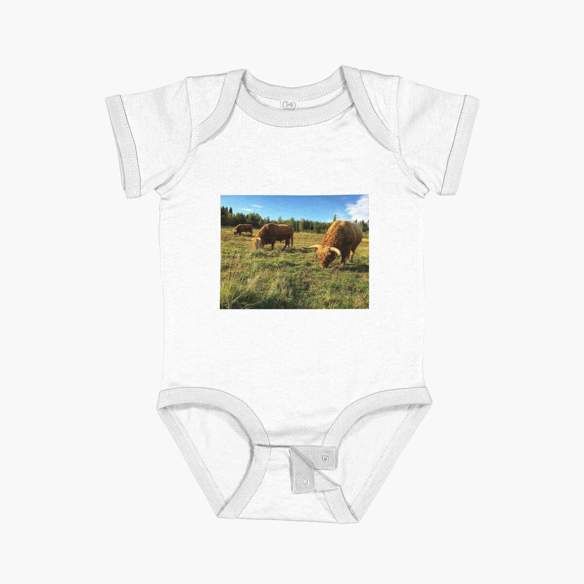 Luvly Scottish Highland Cattle Bulls 2529 Short Sleeve Baby One-Piece ...