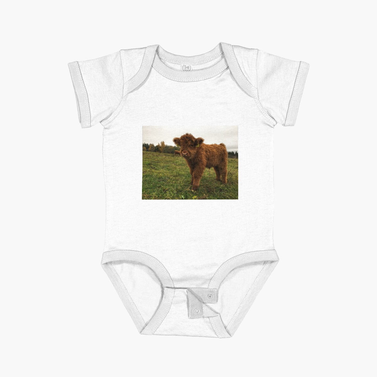 Luvly Scottish Highland Cattle Calf 2562 Short Sleeve Baby One-Piece ...