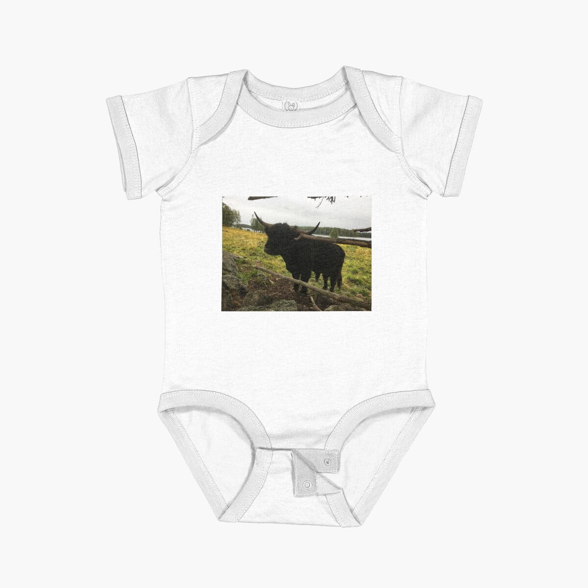 Luvly Scottish Highland Cattle Dark Black Bull 2089 Short Sleeve Baby ...