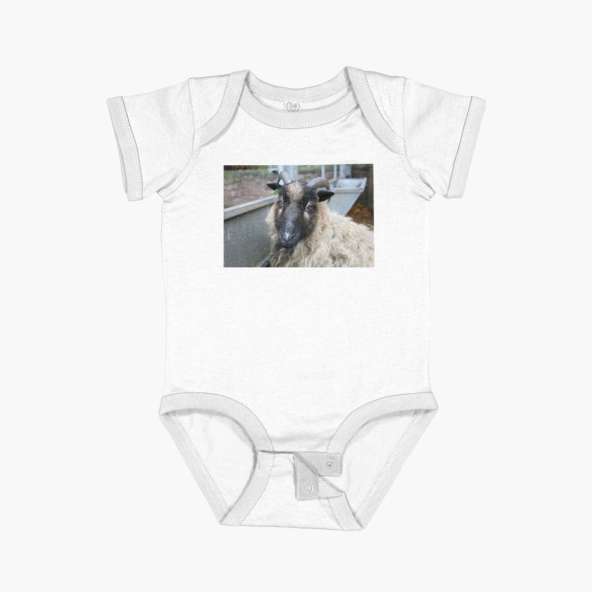 Luvly Who Are Ewe Looking At? Short Sleeve Baby One-Piece, New Born ...