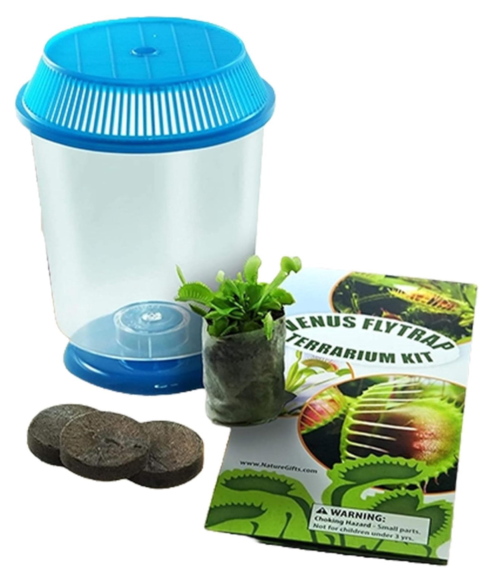 Luwei Fly Trap + Carnivorous Plant Food Bundle in 4" Terrarium - Live ...