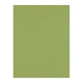 Lux Paper 8.5 x 11 inch 80 lbs. Avocado 500/Pack 81211-P-102-500 ...