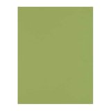 Lux Paper 8.5 x 11 inch 80 lbs. Avocado 500/Pack 81211-P-102-500 ...