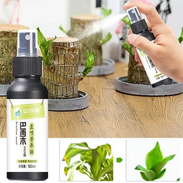 4Pcs Wood Plant Food, Lucky Bamboo Liquid Fertilizer Spray, Hydroponics ...