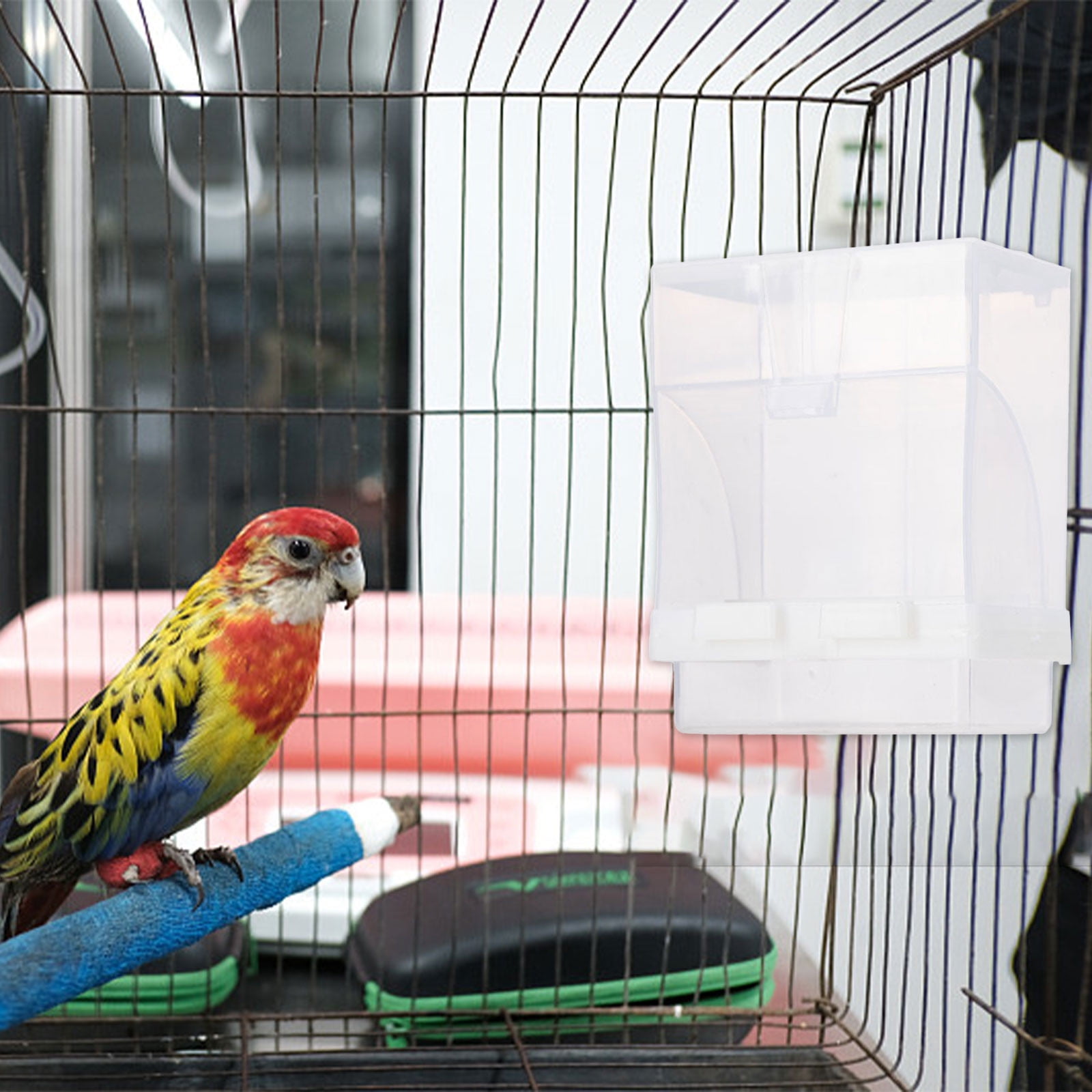 Luxcidy Automatic Bird Feeder for Cage: Parrot Feeder No Mess Bird ...