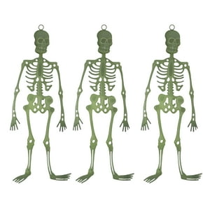 Mini Skeleton