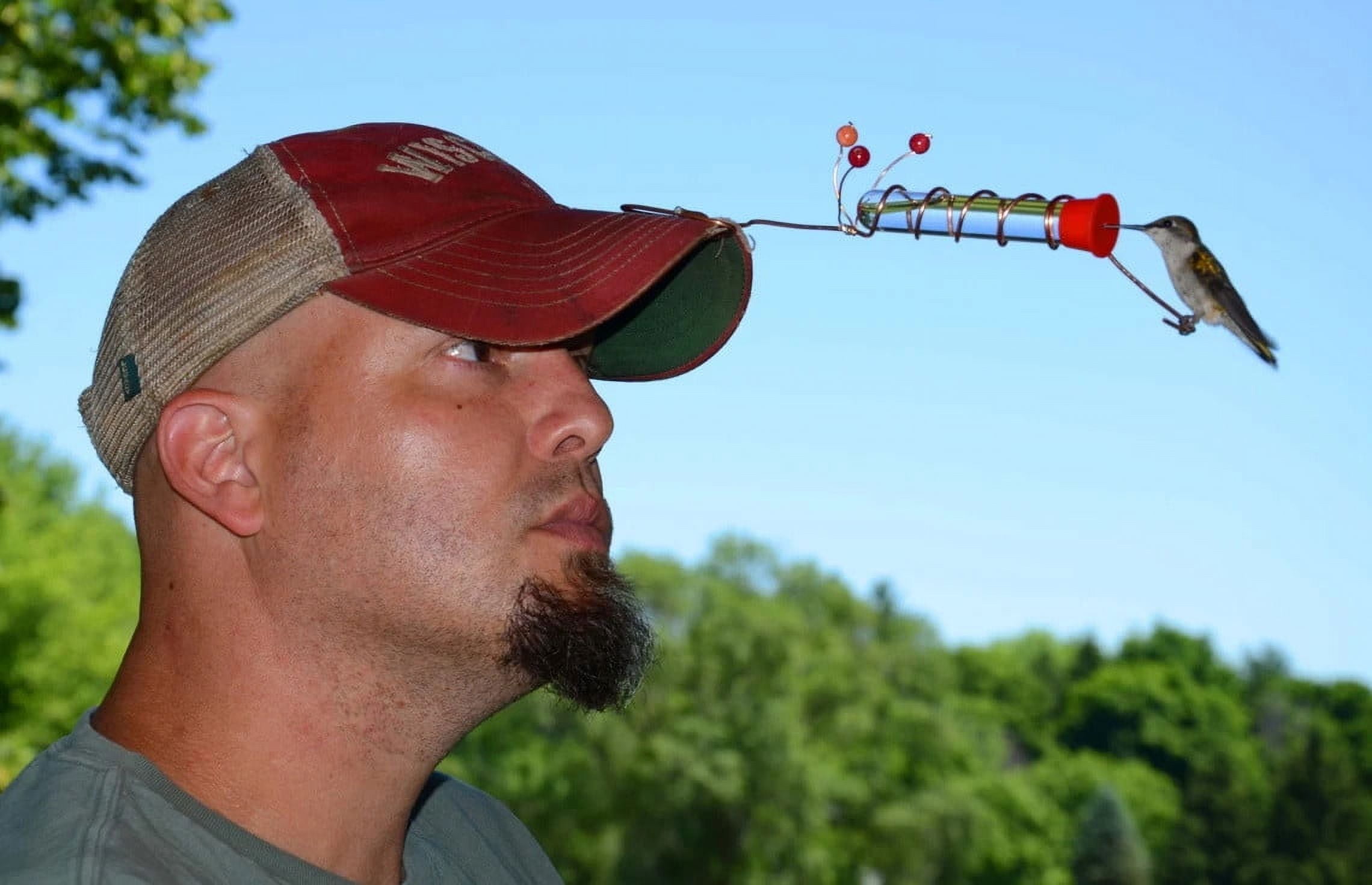 Luxcidy Hummingbird Feeder Hat, Tube Bird Feeder with Hat Clips ...