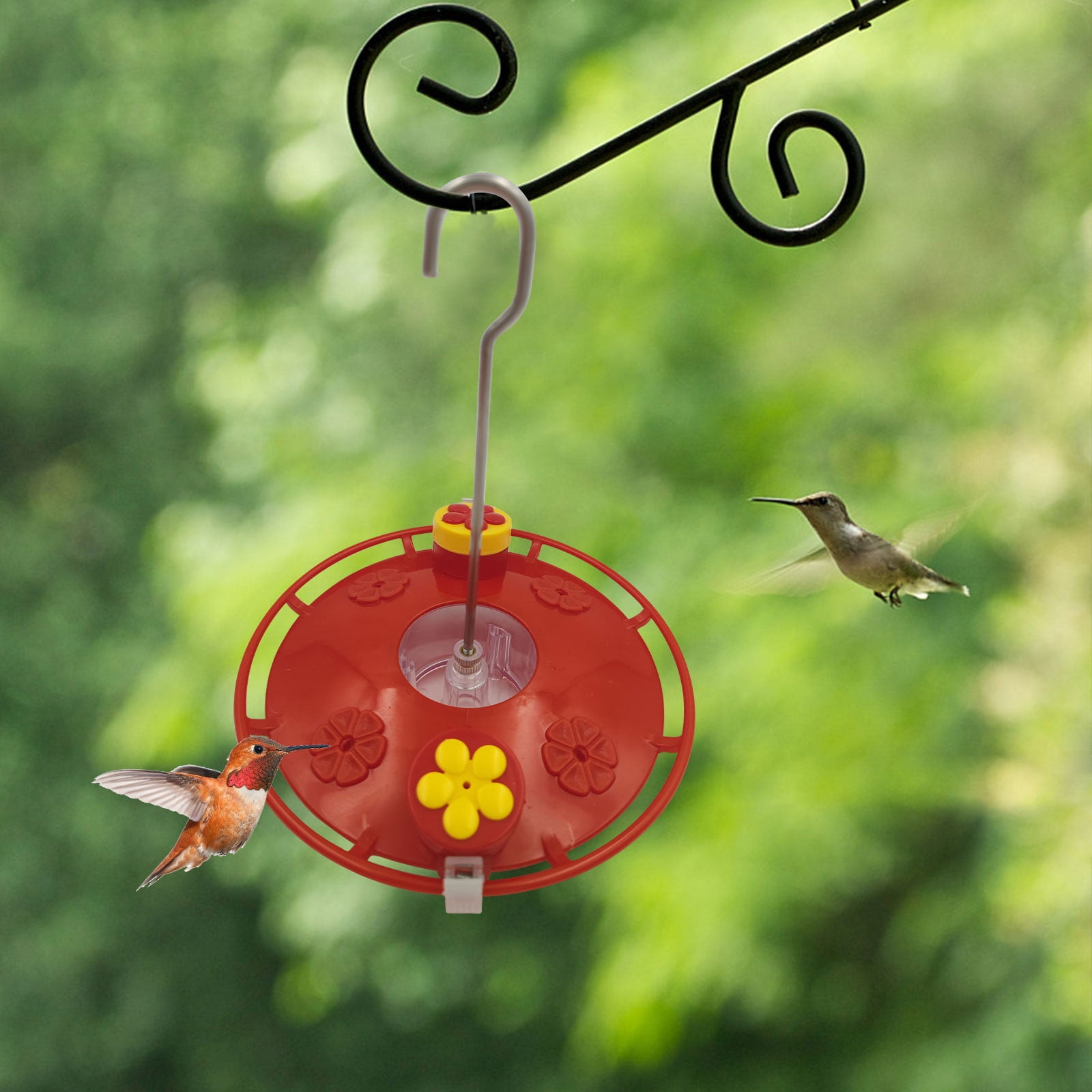 Luxcidy Hummingbird Feeders for Outdoors Hanging with 4 Feeding Ports ...
