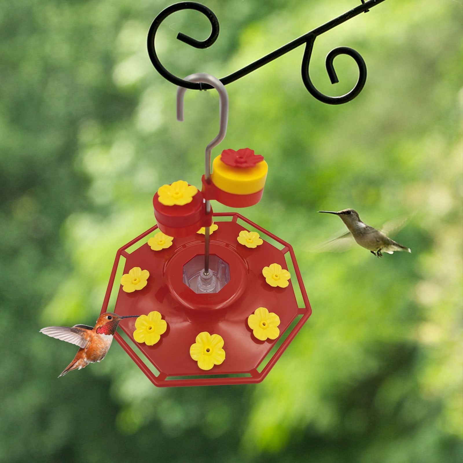 Luxcidy Hummingbird Feeders for Outdoors Hanging with 8 Feeding Ports ...