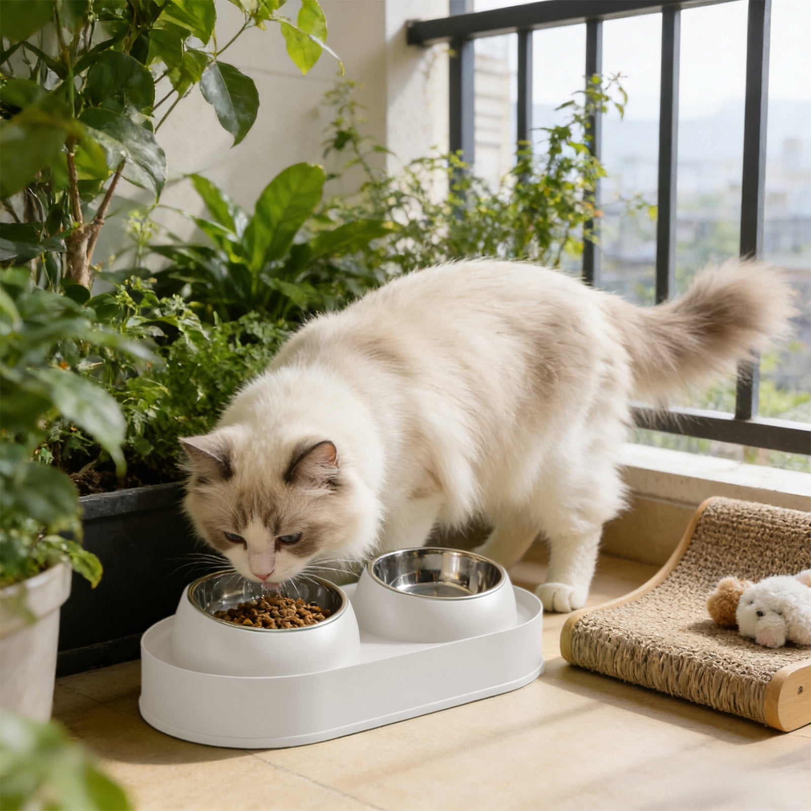 Luxcidy Stainless Steel Cat Bowl, Slanted Ergonomic Double Pet Dish for ...