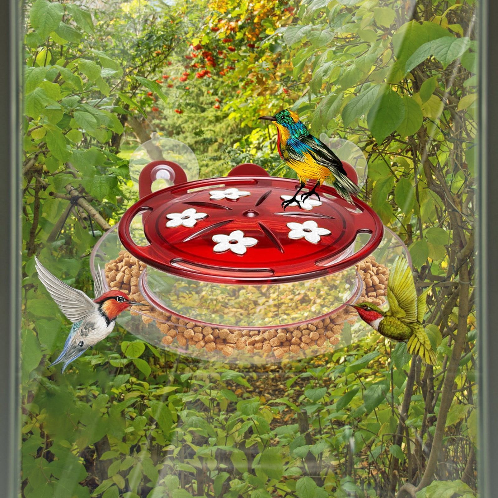 Luxcidy Window Hummingbird Feeder with Ant Moat, Strong Suction Cup ...
