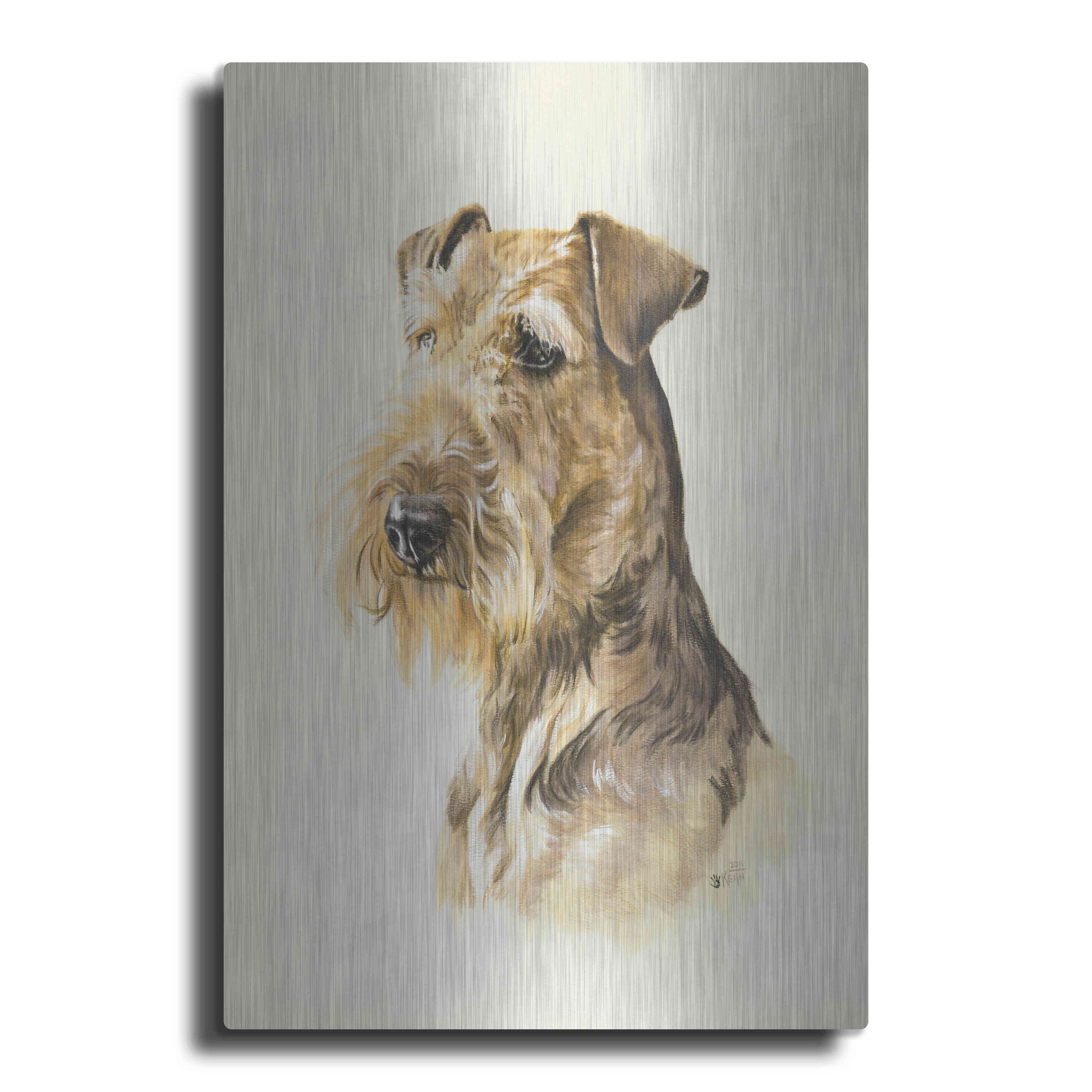 Luxe Metal Art 'Airedale' by Barbara Keith, Metal Wall Art, 12"x16 ...
