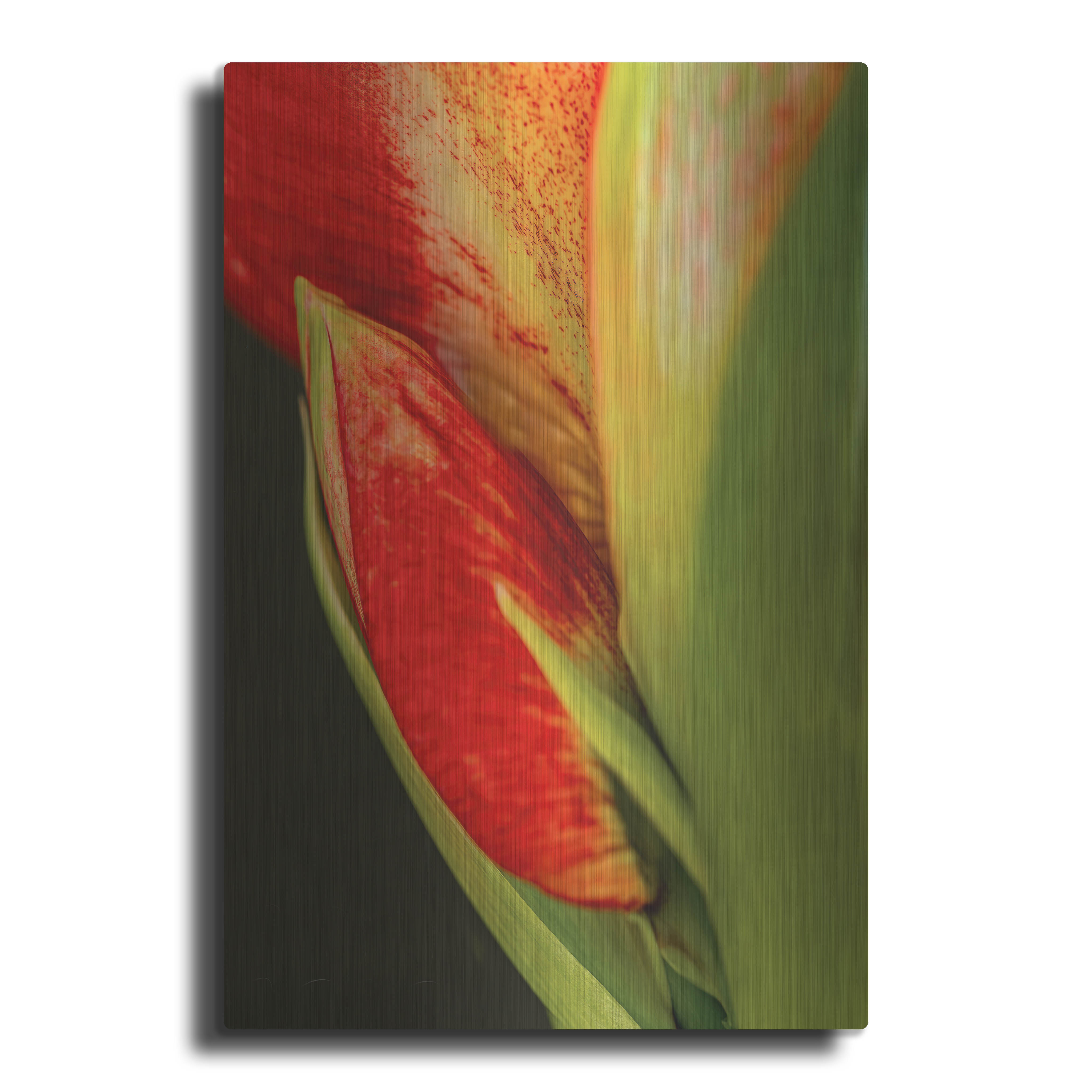 Luxe Metal Art 'Amaryllis' by Pamela Plummer, Metal Wall Art, 12"x16 ...