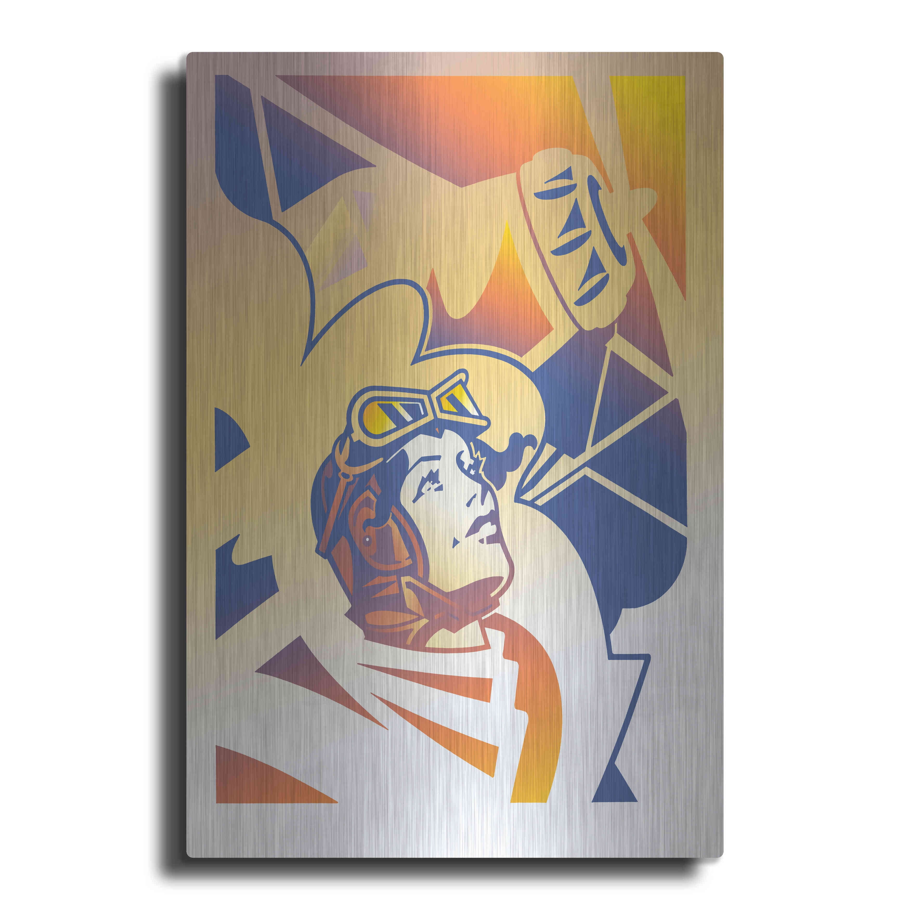 Luxe Metal Art 'Amelia Erhart' by David Chestnutt, Metal Wall Art, 24 ...