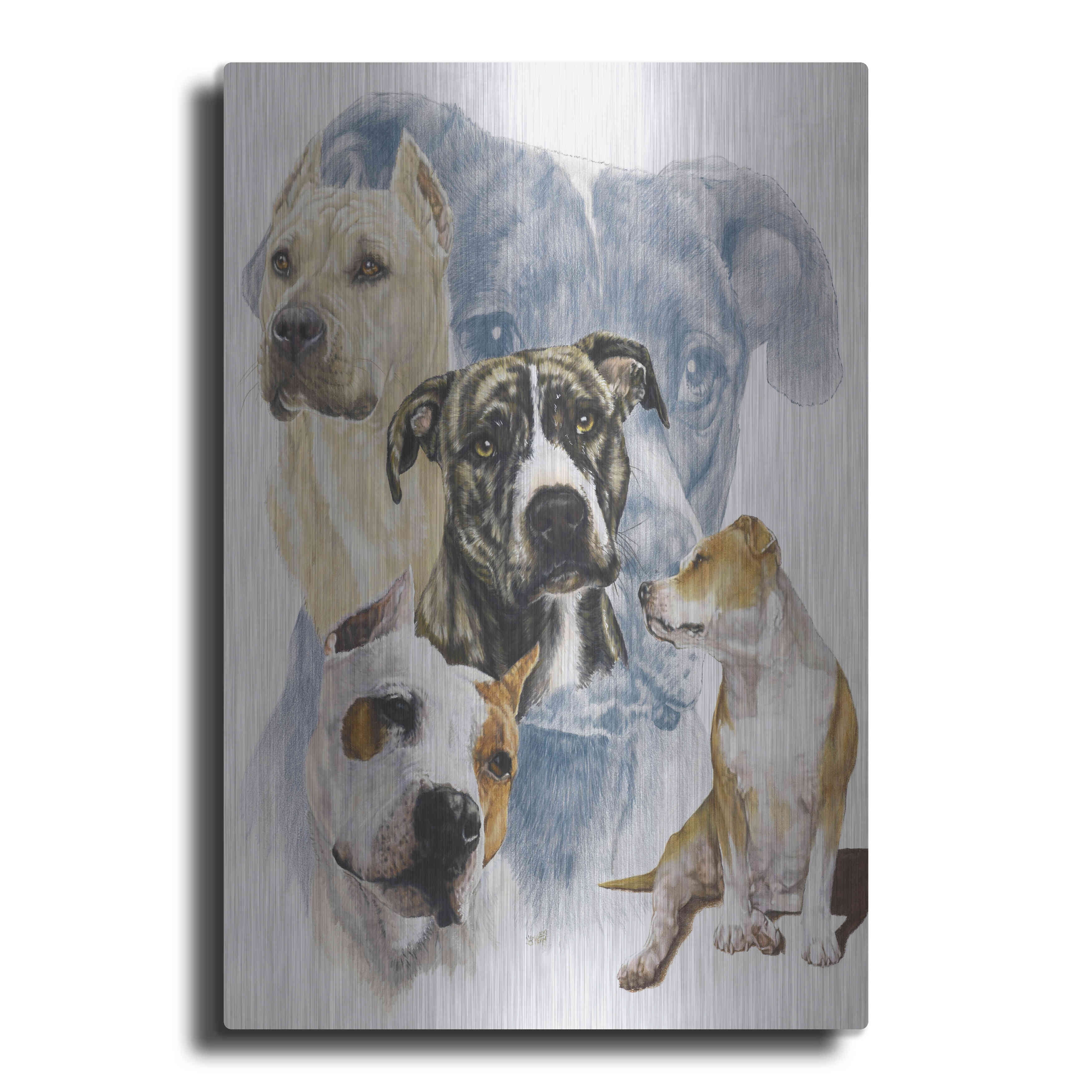 Luxe Metal Art 'American Staffordshire Terrier' by Barbara Keith, Metal ...