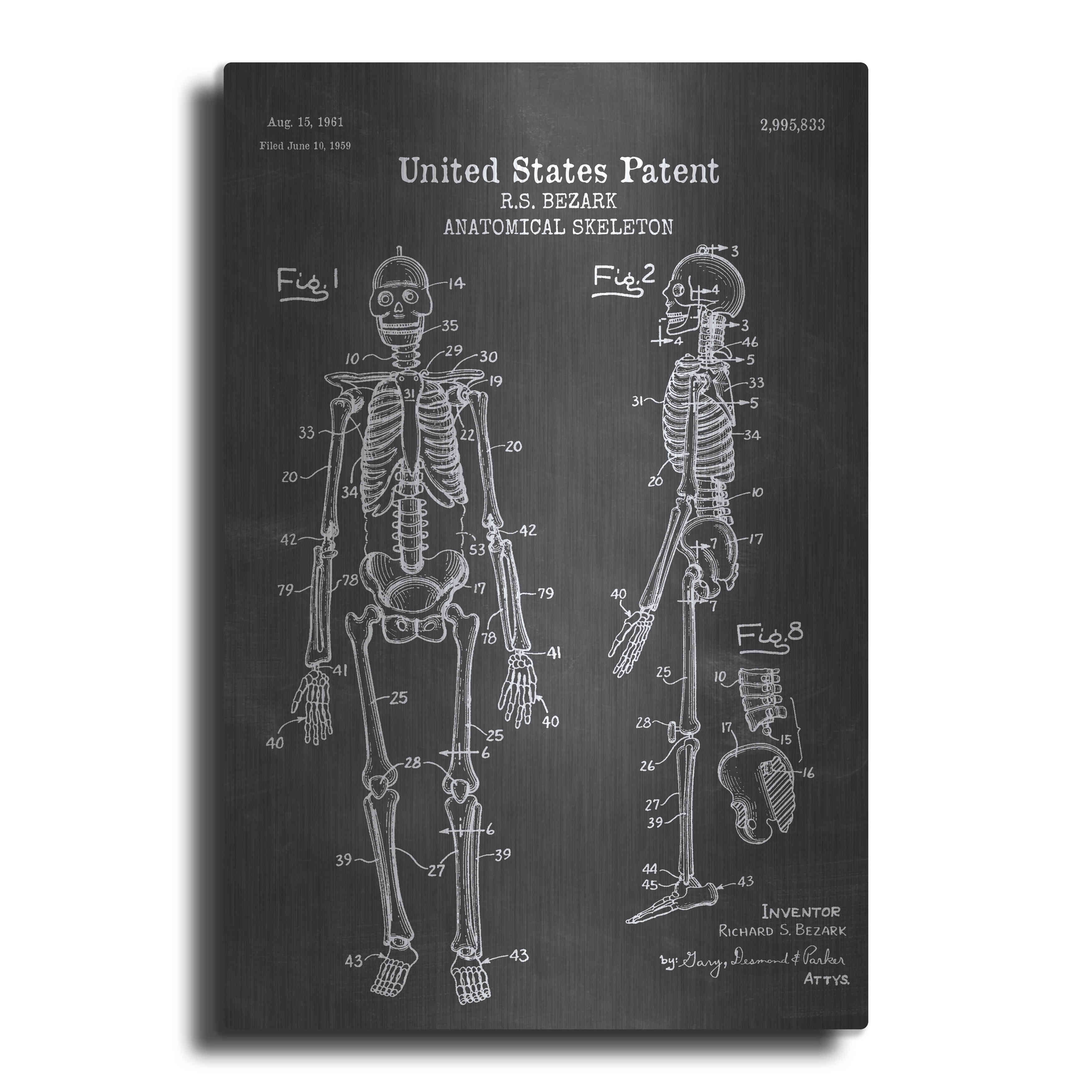 Luxe Metal Art 'Anatomical Skeleton Blueprint Patent Chalkboard' Metal ...