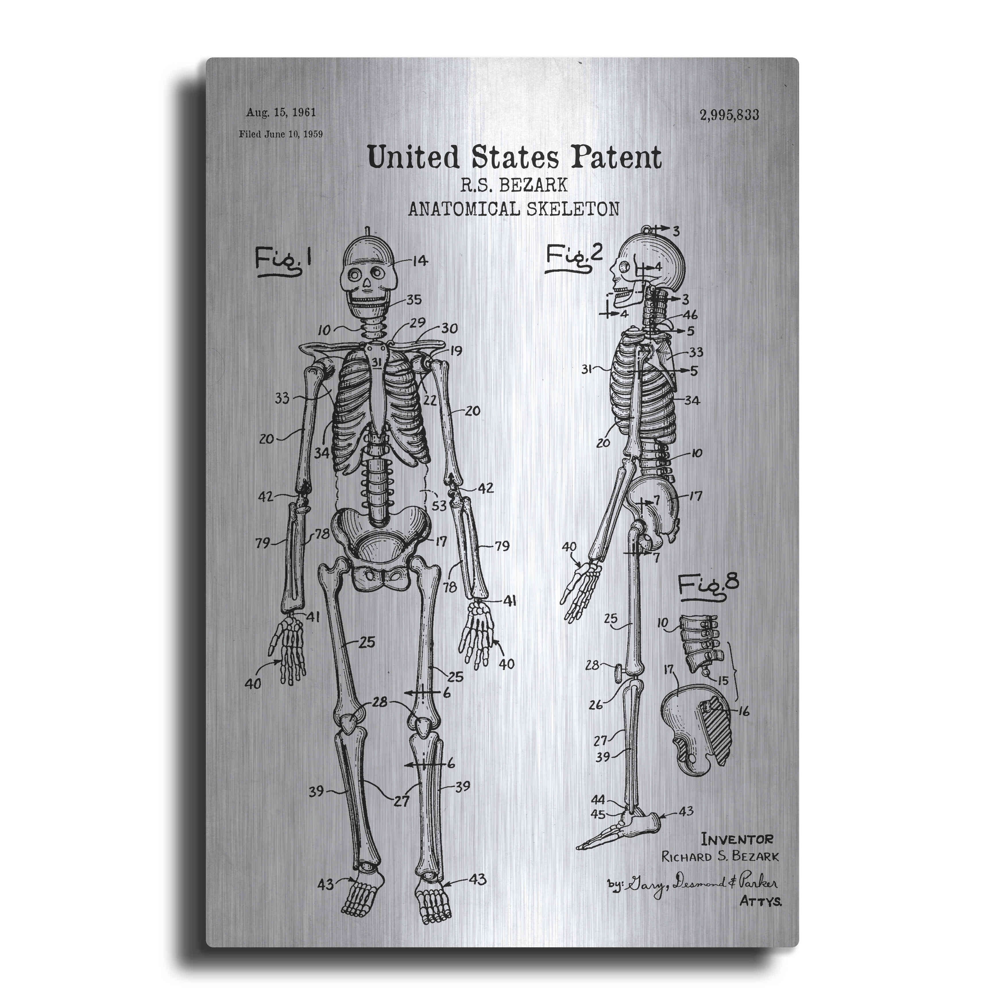 Luxe Metal Art 'Anatomical Skeleton Blueprint Patent White' Metal Wall ...