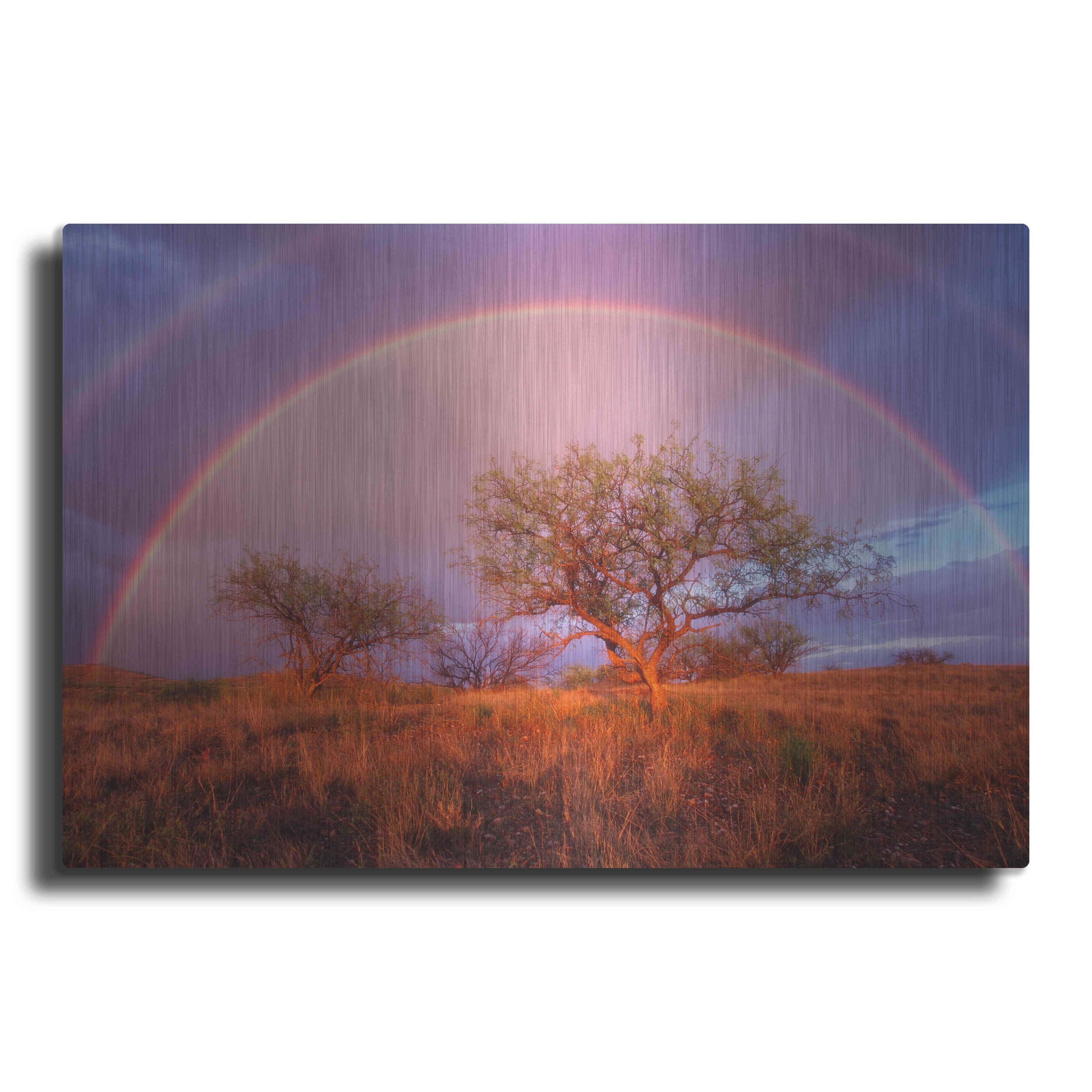 Luxe Metal Art 'Arizona Rainbow' by Thomas Haney, Metal Wall Art, 36 ...