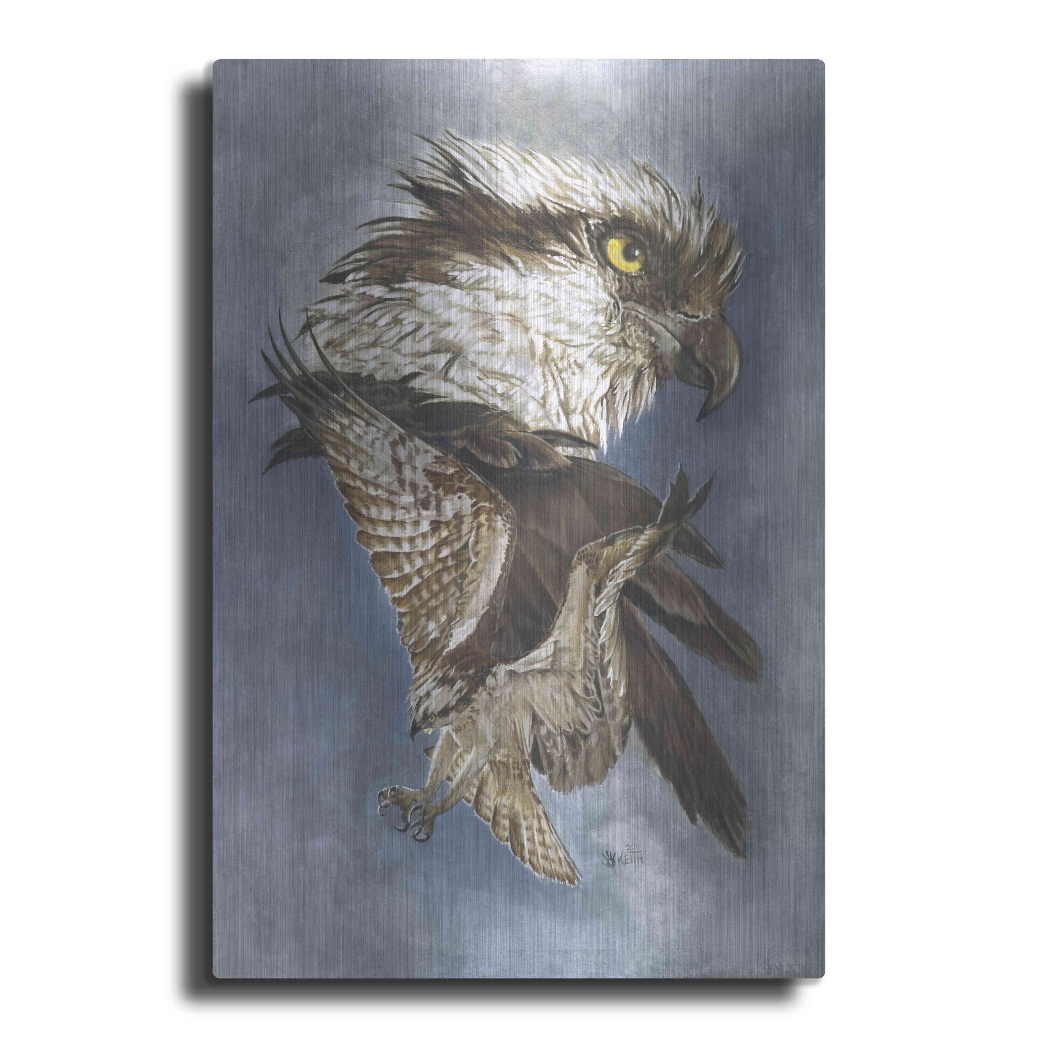 Luxe Metal Art 'Assail' by Barbara Keith, Metal Wall Art, 24"x36 ...