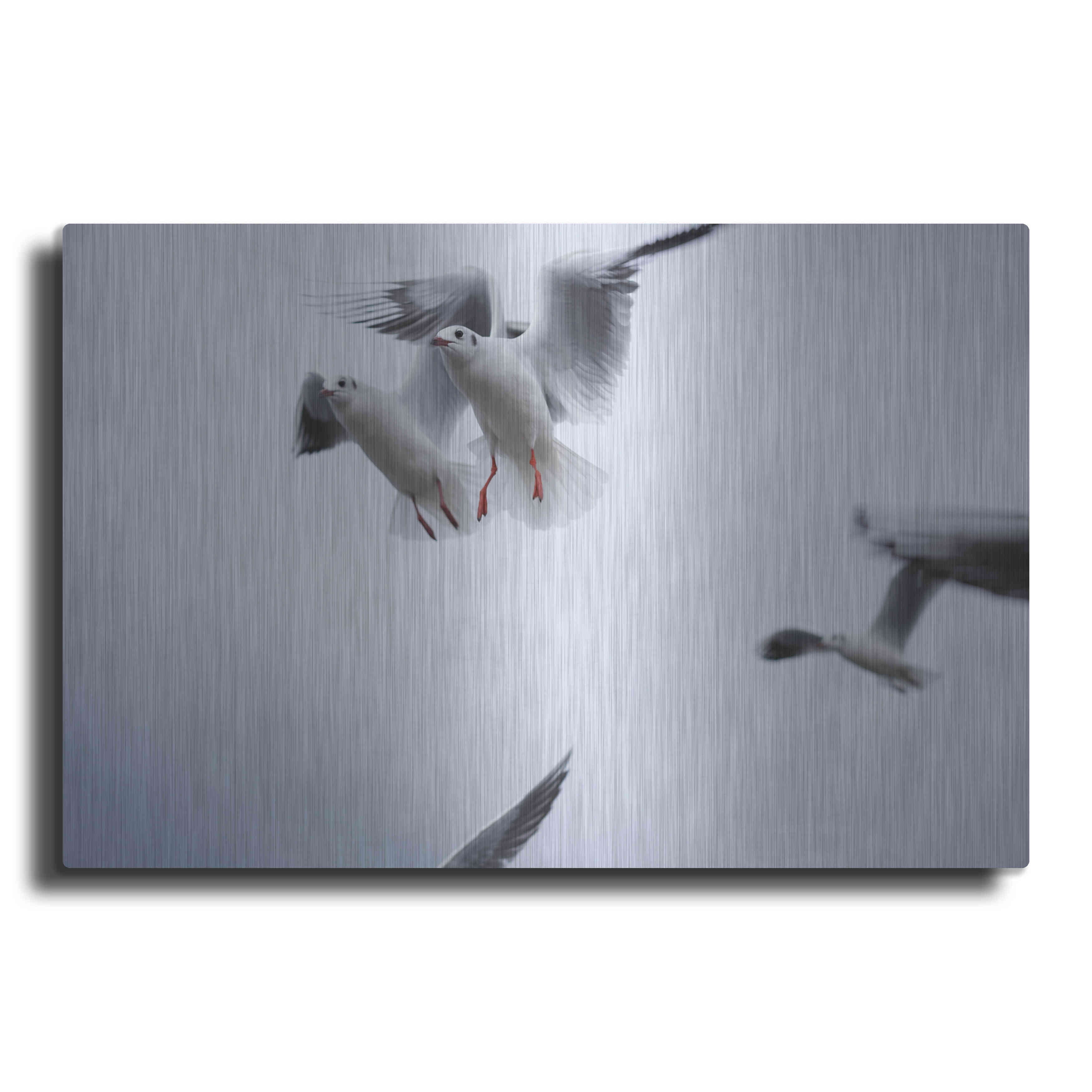 Luxe Metal Art 'Bird Hug' by Luxe Portfolio, Metal Wall Art, 36"x24 ...