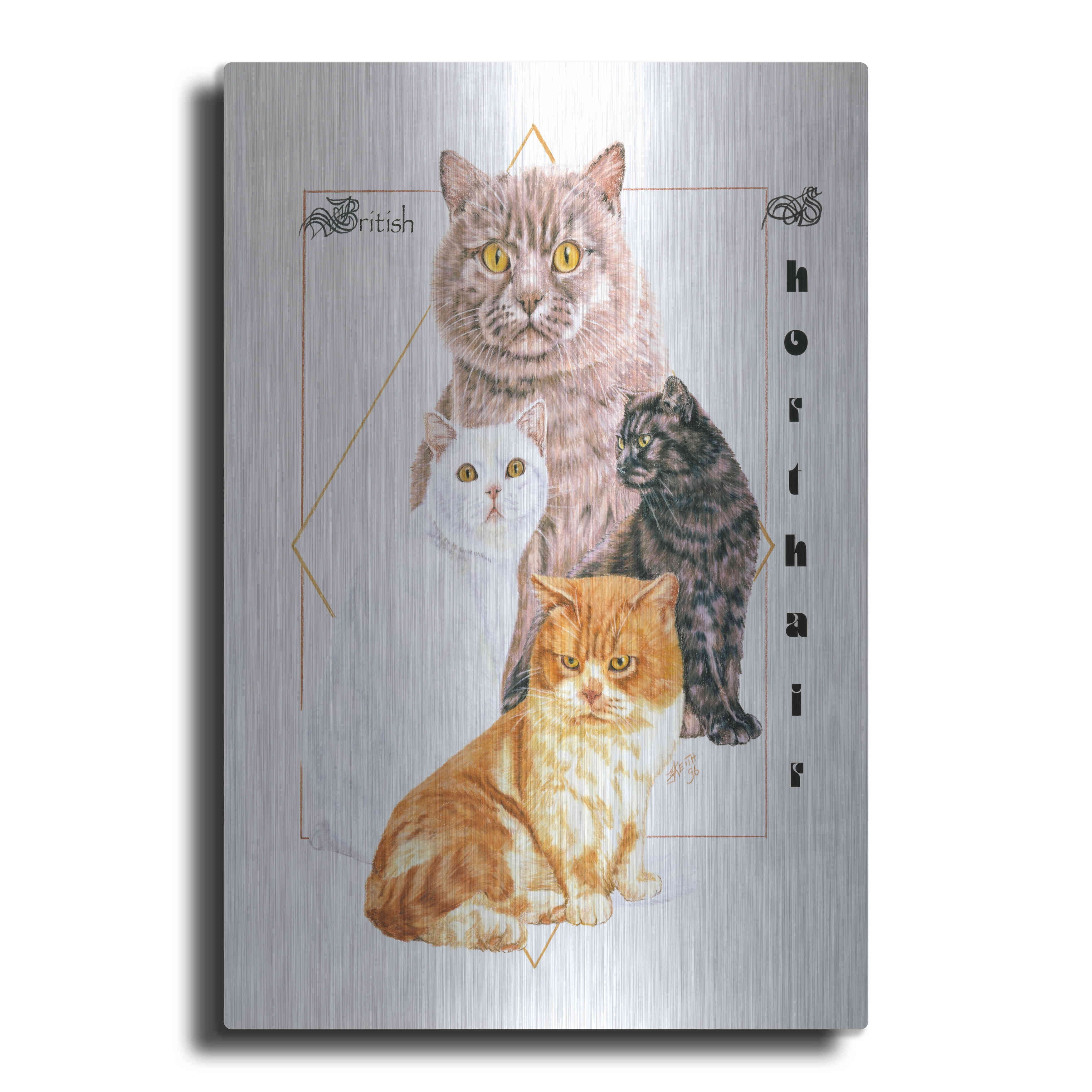 Luxe Metal Art 'British Shorthair' by Barbara Keith, Metal Wall Art, 24 ...