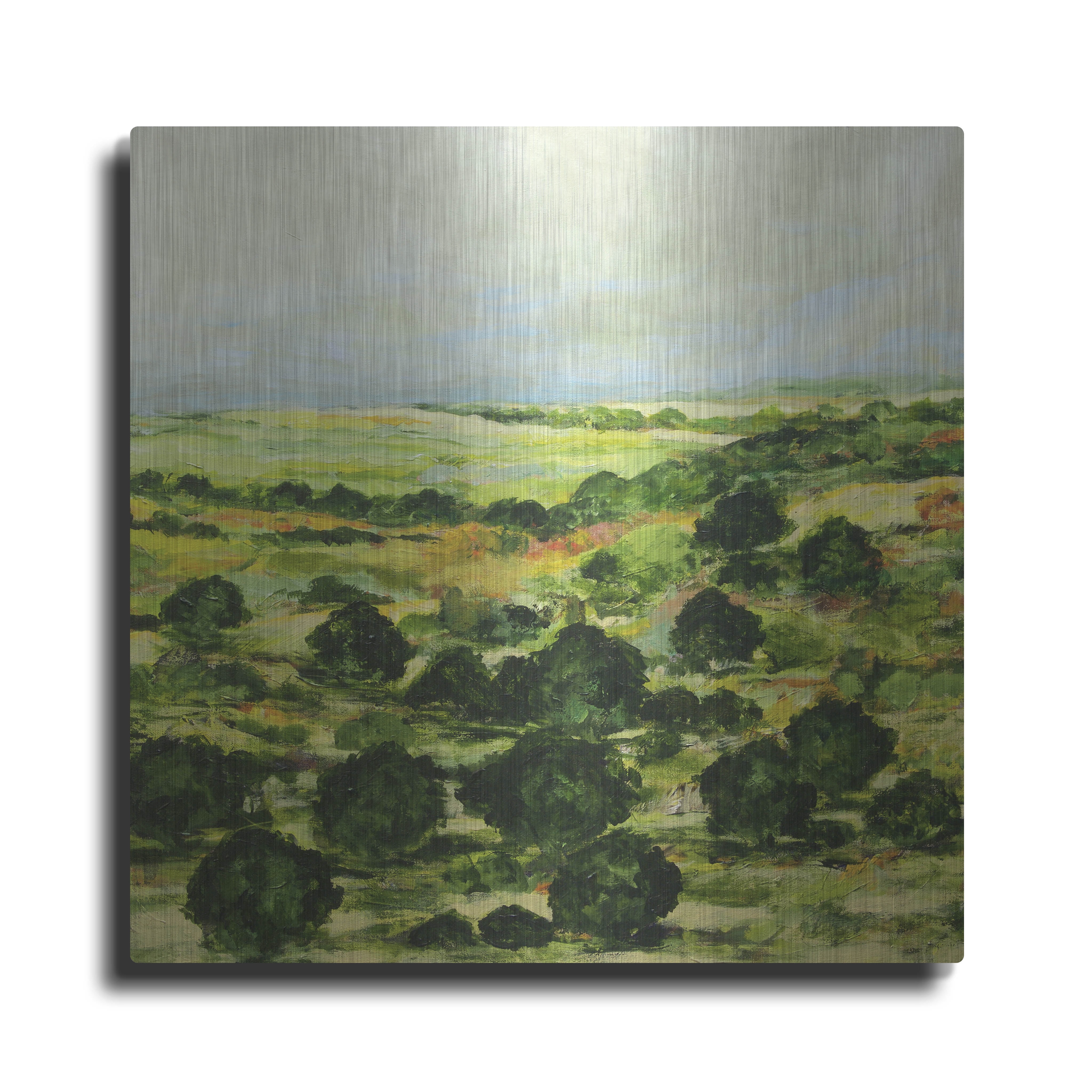 Luxe Metal Art 'Broom Croft' by Allan Friedlander Metal Wall Art, 12" x ...