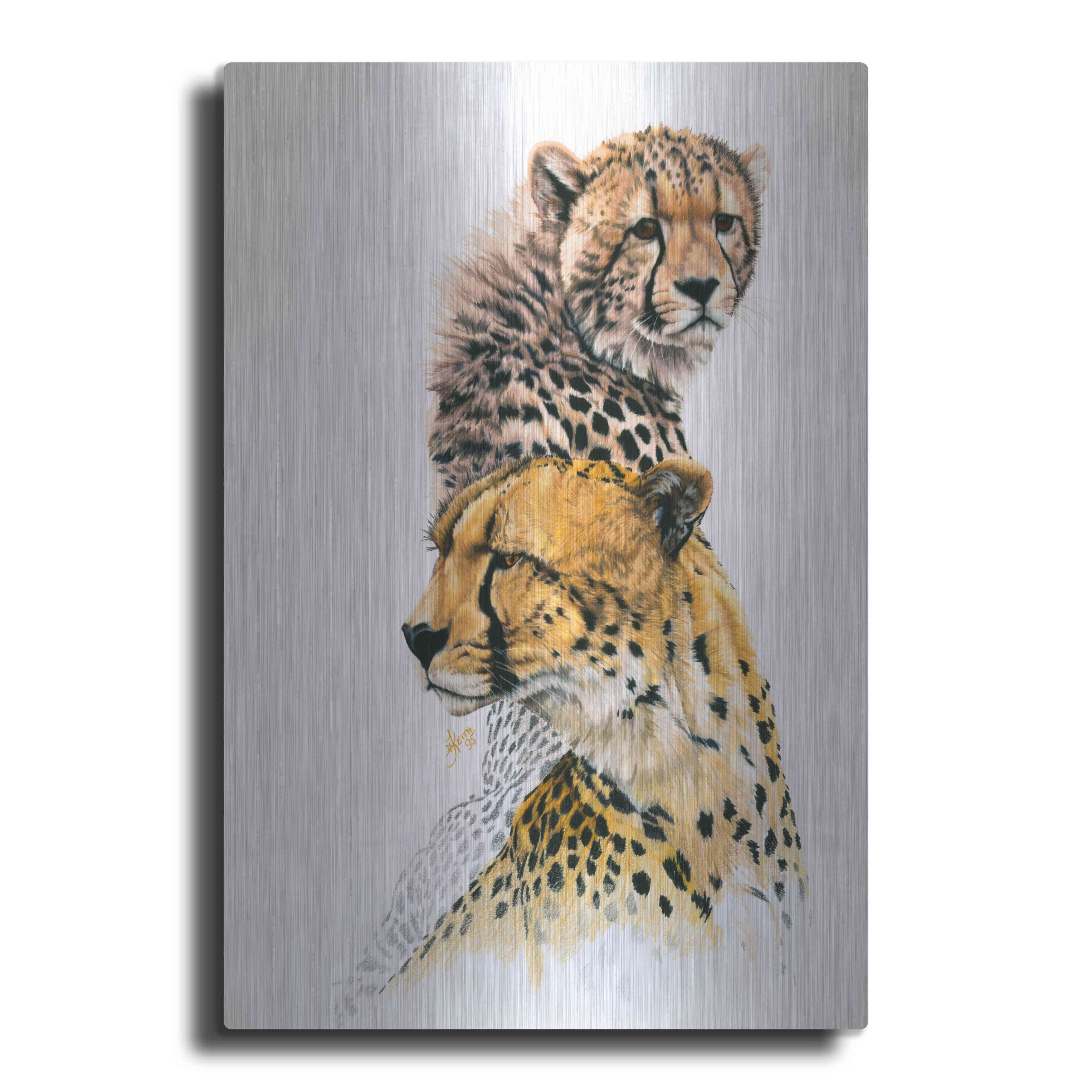 Luxe Metal Art 'Brother Of The Wind' by Barbara Keith, Metal Wall Art ...